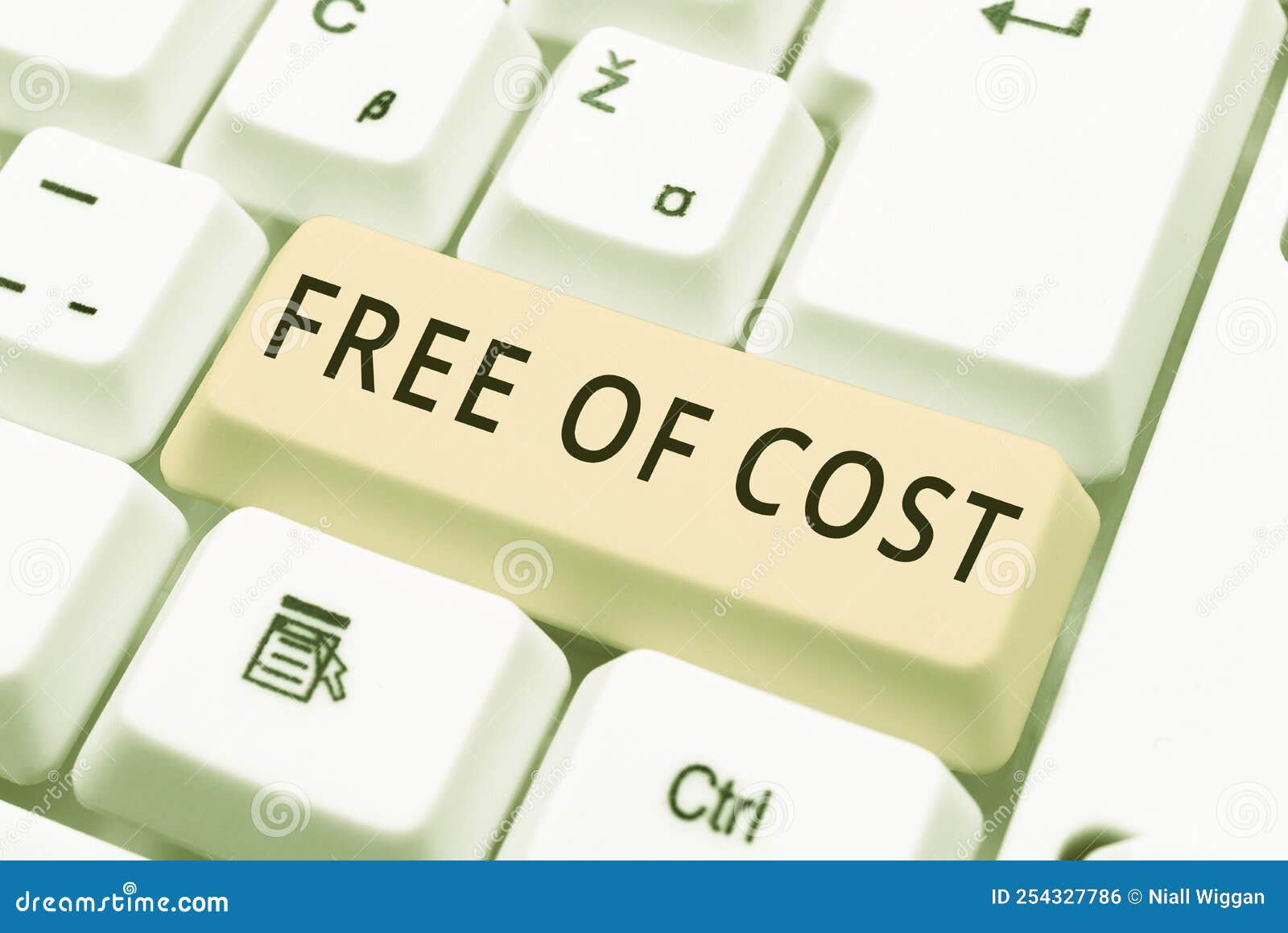 Writing Displaying Text Free of Cost. Business Overview No Price for a ... Writing Displaying Text Free of Cost. Business Overview No Price for a ...