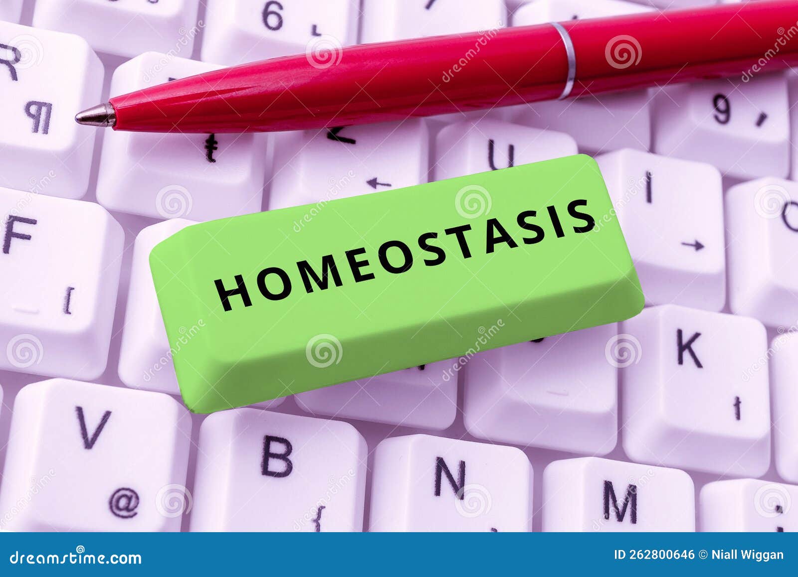 Sign Displaying Homeostasis. Conceptual Photo the Tendency Toward a ...