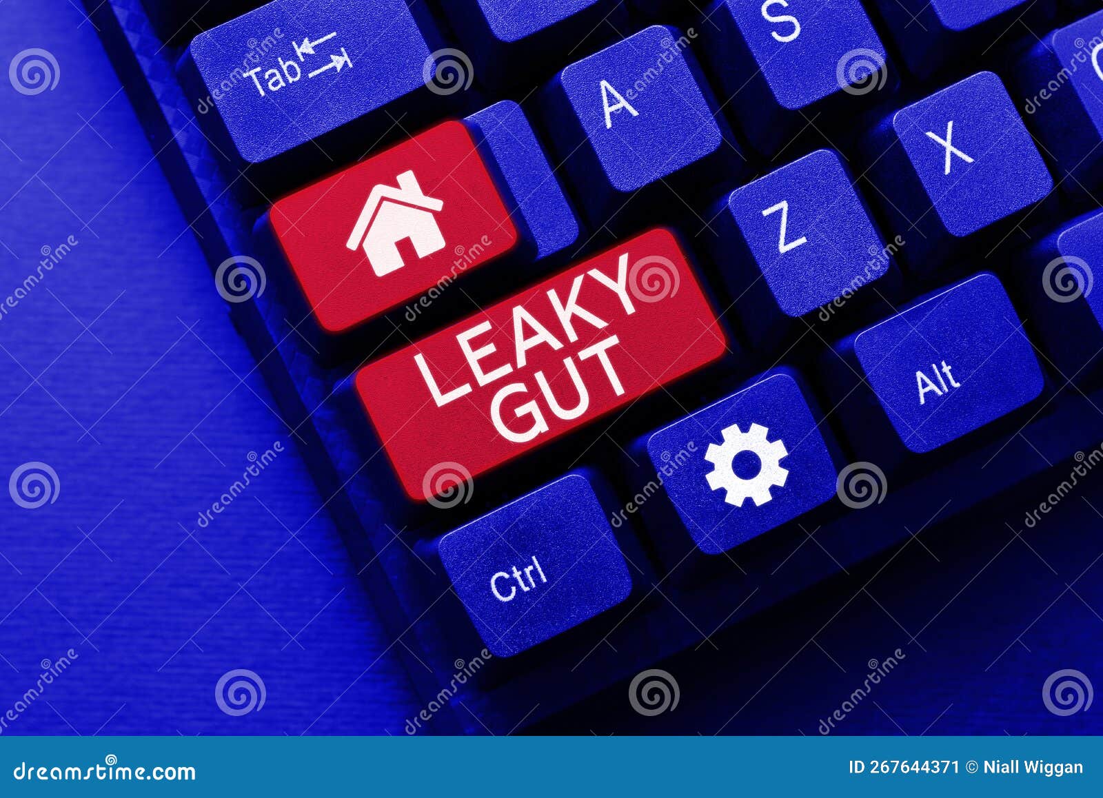 Conceptual Display Leaky Gut. Conceptual Photo a Condition in Which the ... Conceptual Display Leaky Gut. Conceptual Photo a Condition in Which the ...