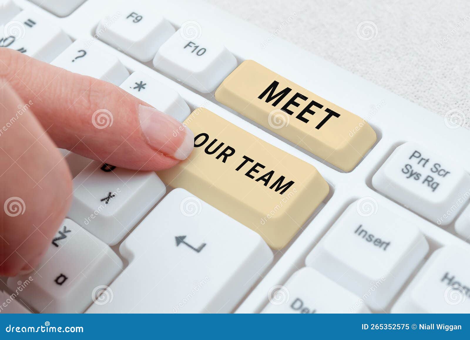 Sign Displaying Meet Our Team. Business Concept Introducing Another ... Sign Displaying Meet Our Team. Business Concept Introducing Another ...