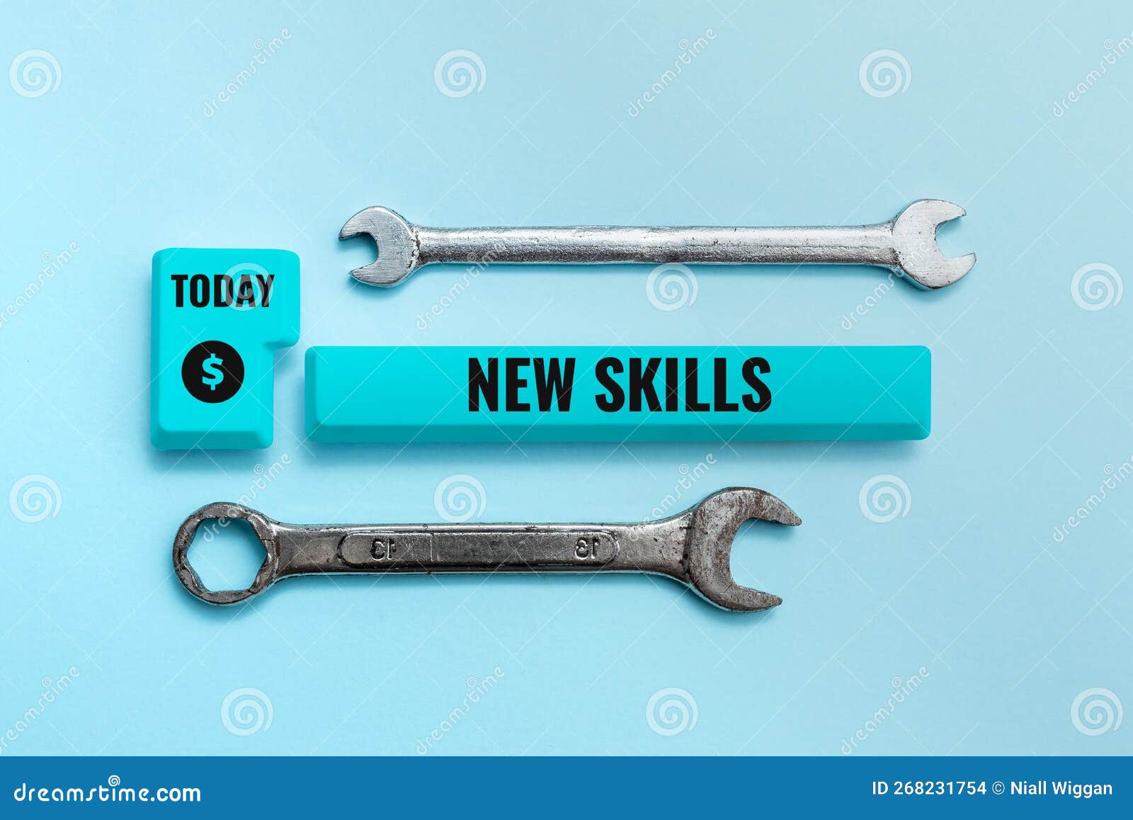 Sign Displaying New Skills. Concept Meaning Recently Acquired Learned ... Sign Displaying New Skills. Concept Meaning Recently Acquired Learned ...