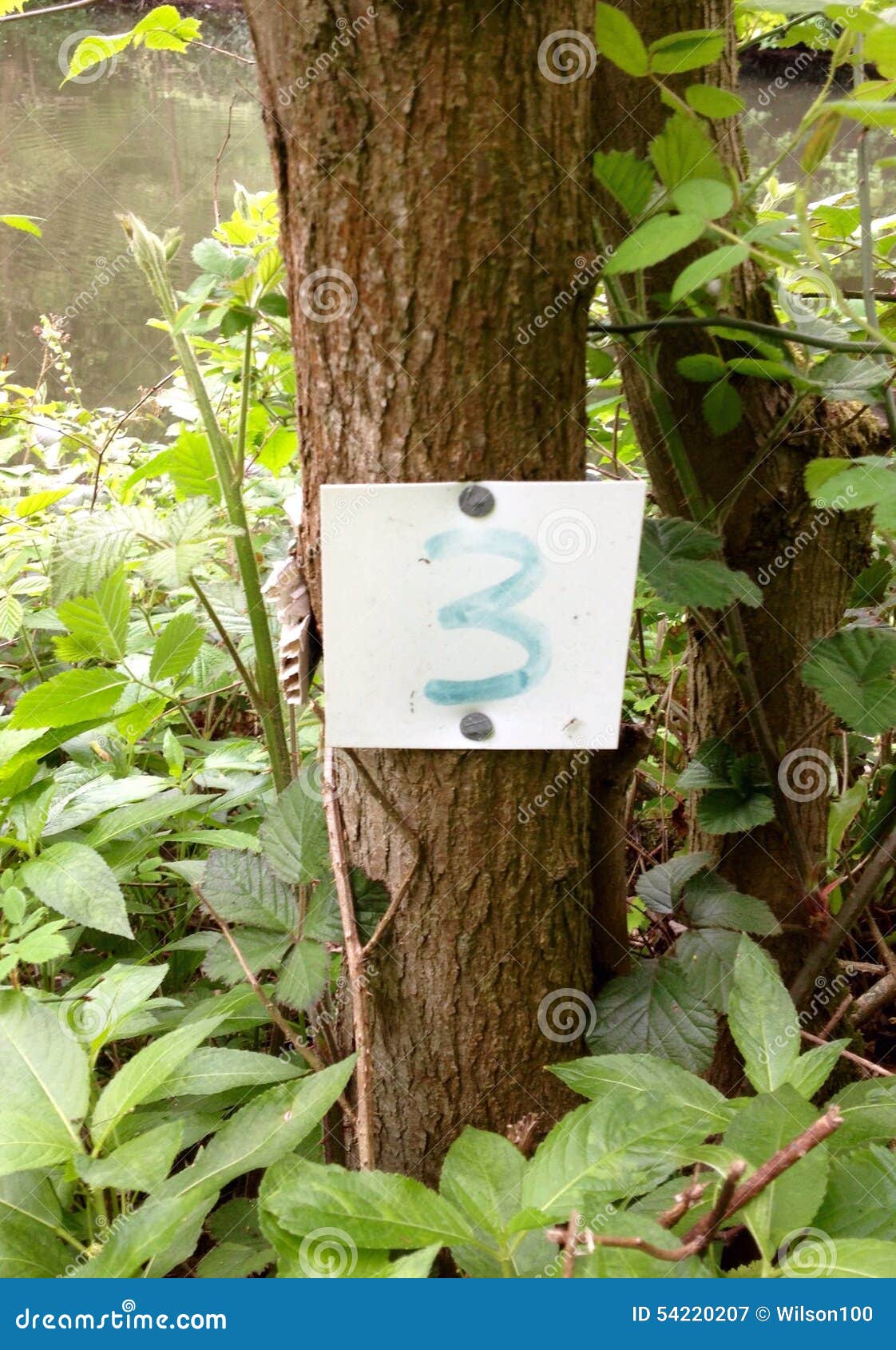 A Sign Displaying Number Three Stock Image - Image of number, numbers ...
