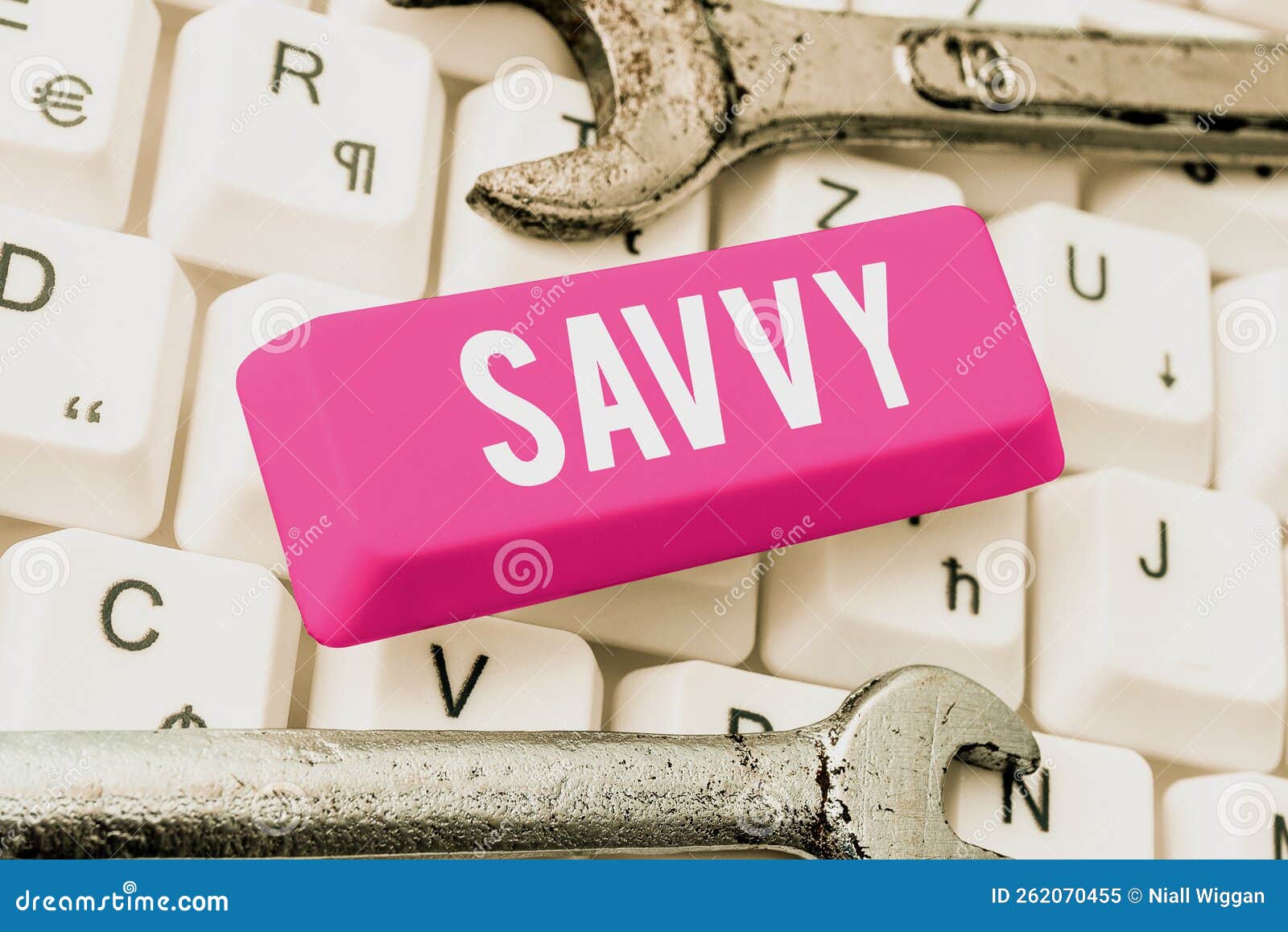 Handwriting Text Savvy. Business Idea Having Perception, Comprehension ...