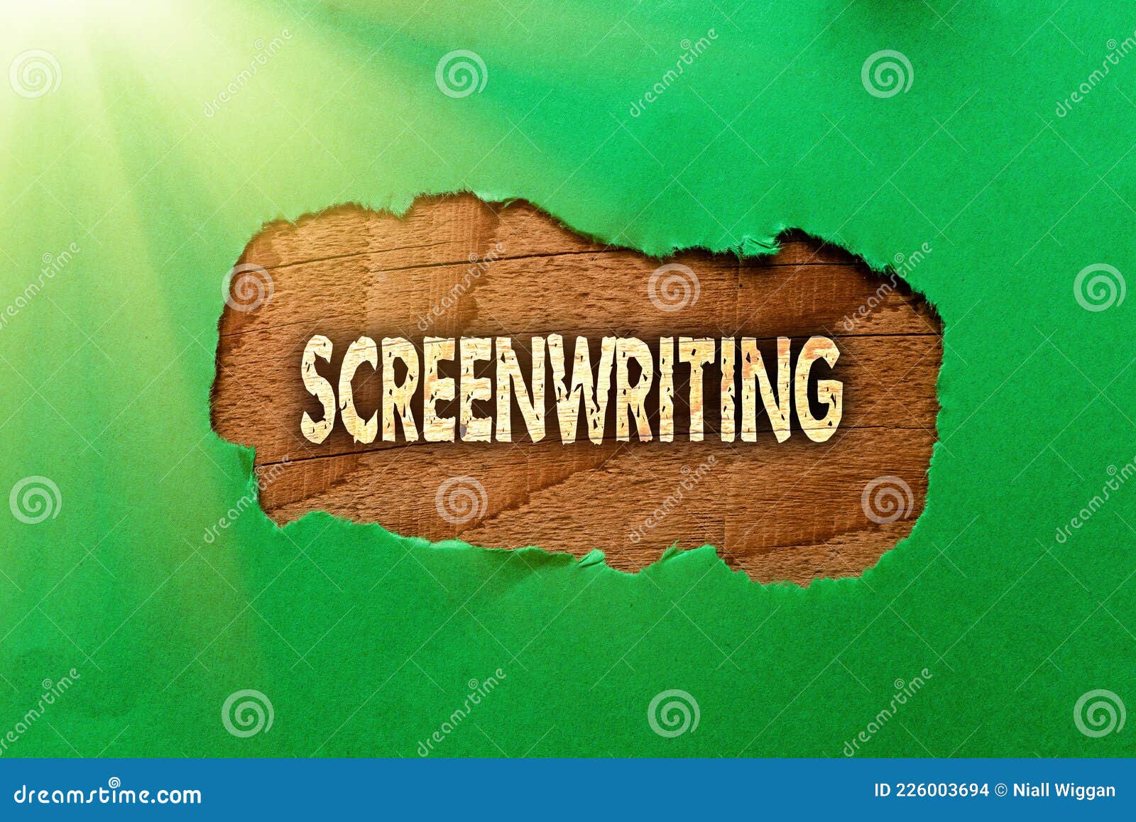 Text Sign Showing Screenwriting. Word Written on the Art and Craft of ...