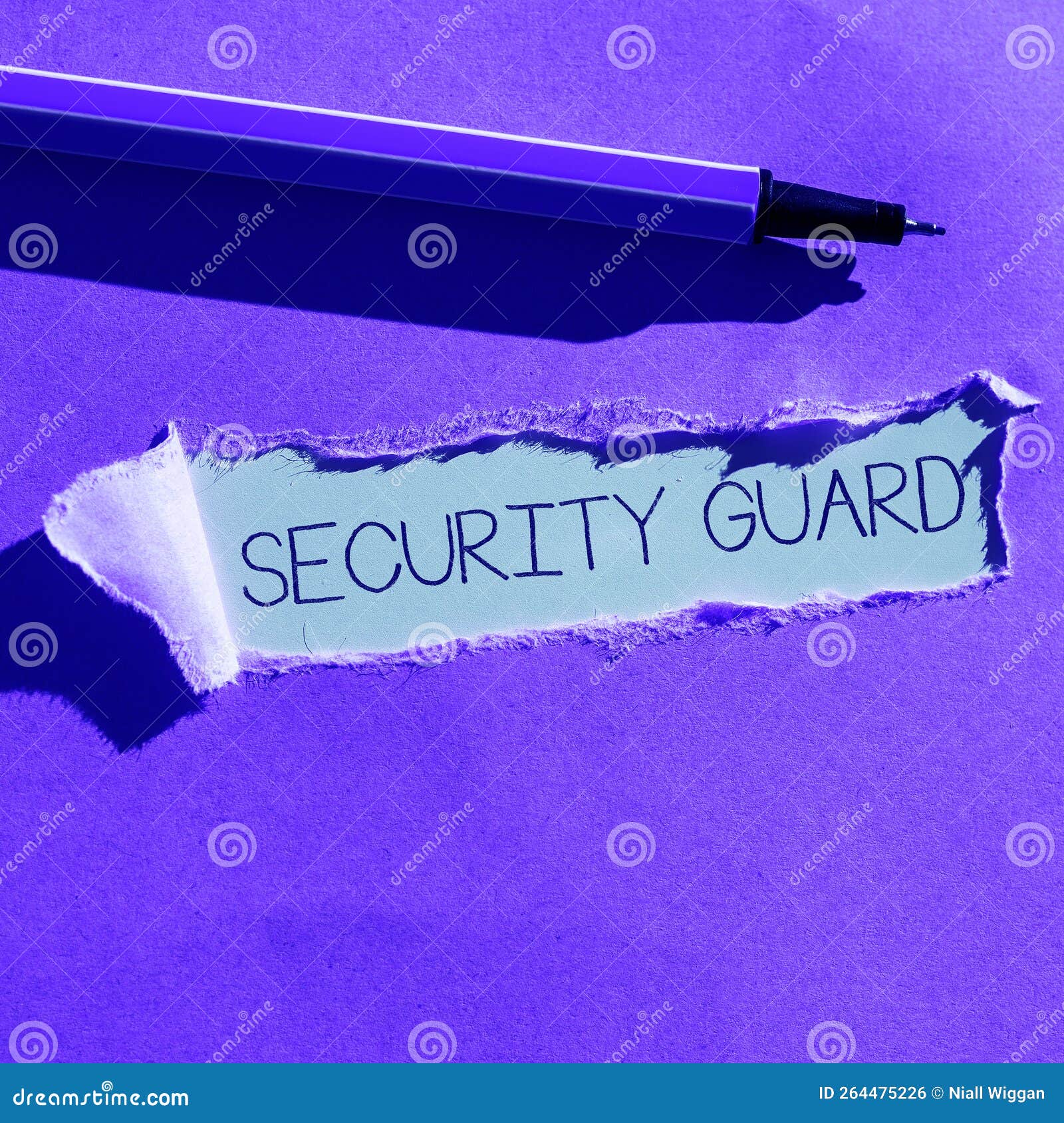 Text Caption Presenting Security Guard. Business Concept Tools Used To ...