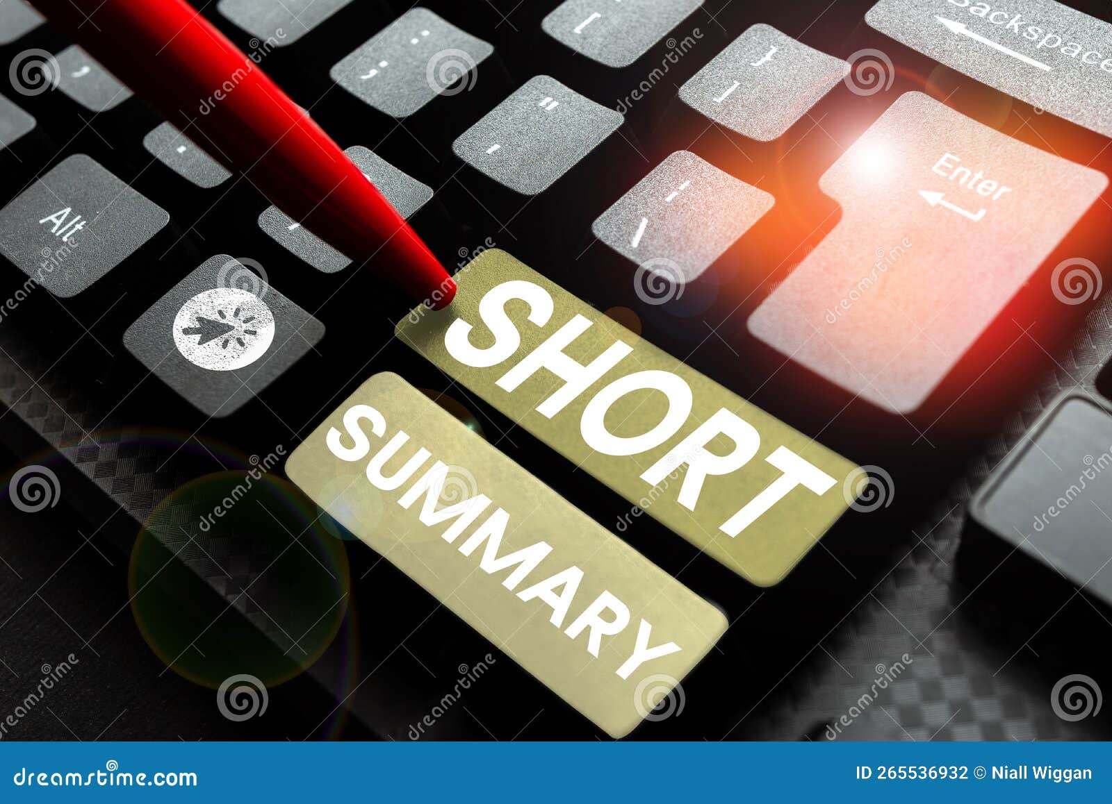 Sign Displaying Short Summary. Concept Meaning Brief Statement of Main ... Sign Displaying Short Summary. Concept Meaning Brief Statement of Main ...