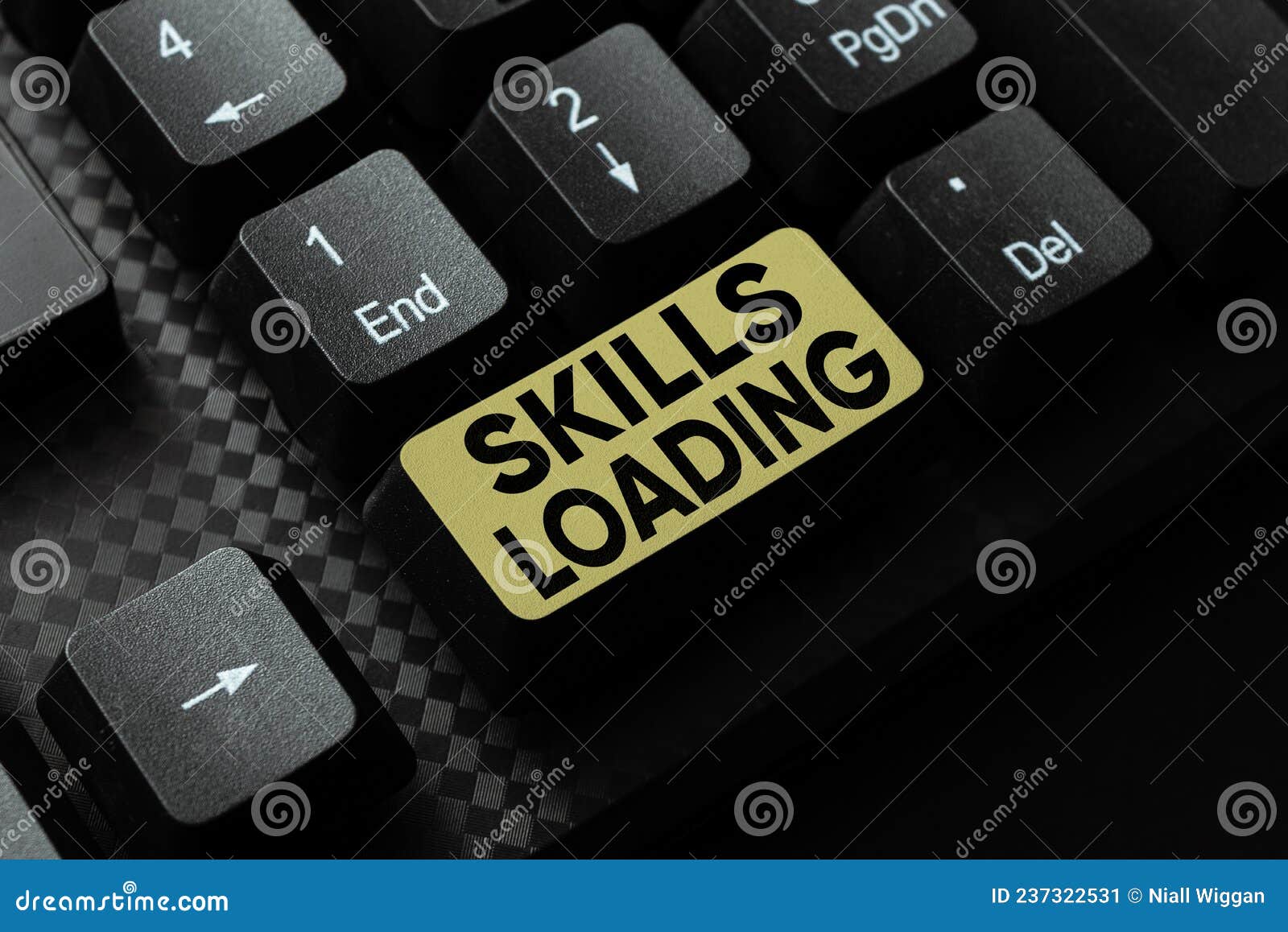 Conceptual Caption Skills Loading. Concept Meaning Points Out the Degree of Difficulty when ...