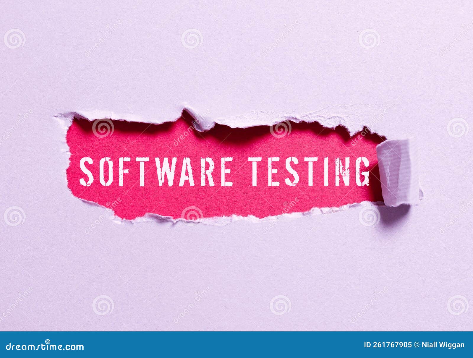 Sign Displaying Software Testing. Business Overview Activity To Check ... Sign Displaying Software Testing. Business Overview Activity To Check ...