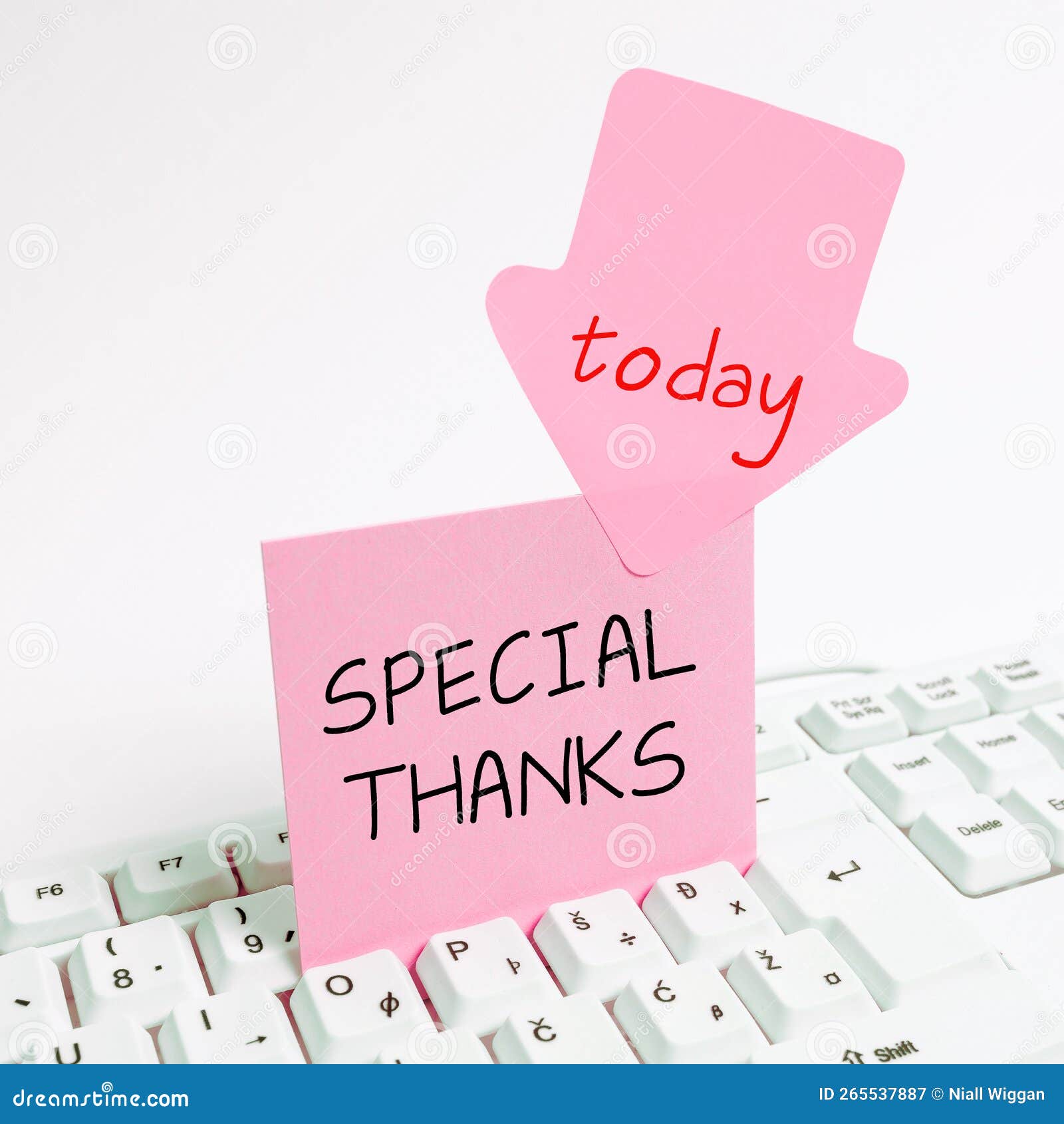 Sign Displaying Special Thanks. Word Written on Expression of ...