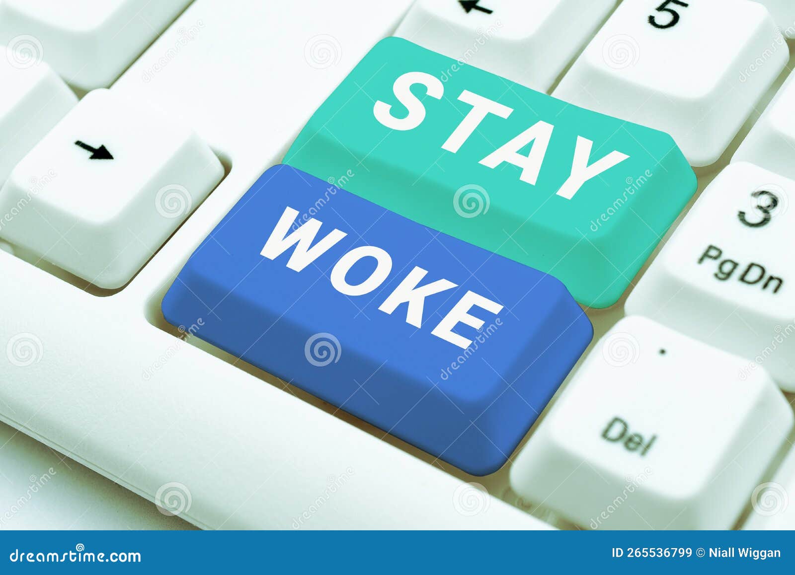 Sign Displaying Stay Woke. Internet Concept Being Aware of Your ...