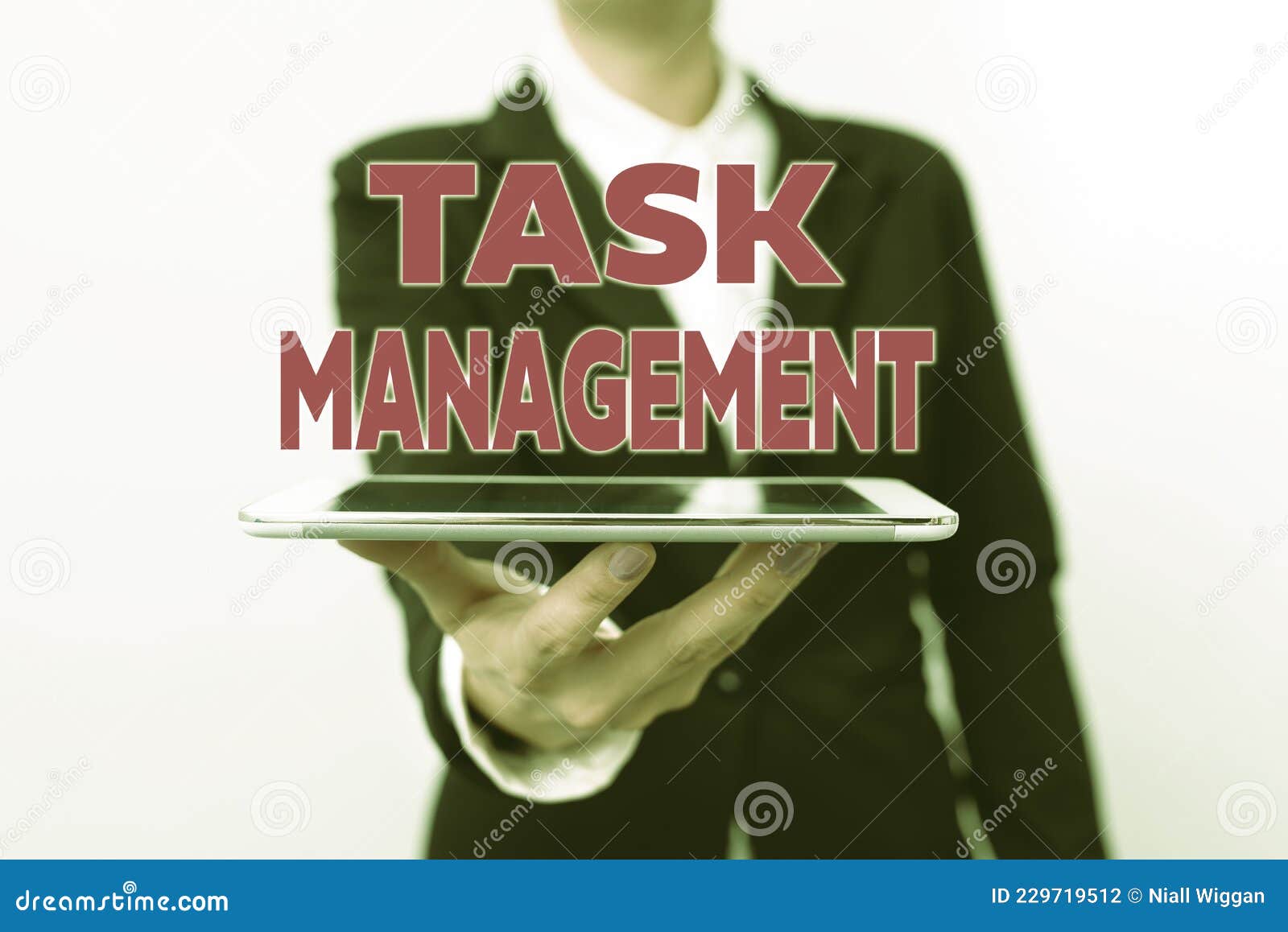 Sign Displaying Task Management. Business Concept the Process of ...