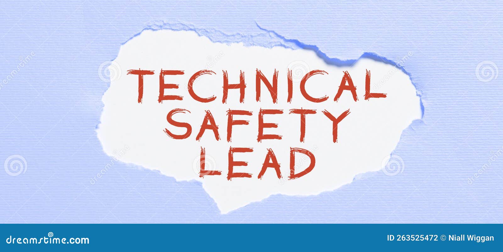 Sign Displaying Technical Safety Lead. Word Written on Maintain ...