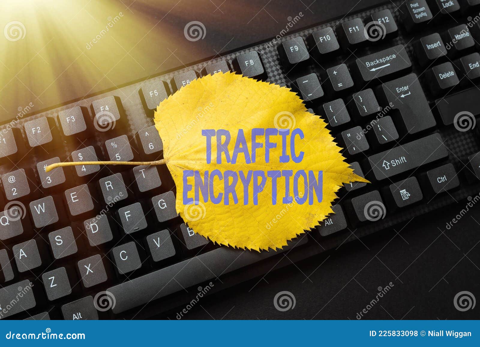 Sign Displaying Traffic Encryption. Business Overview Method of ...