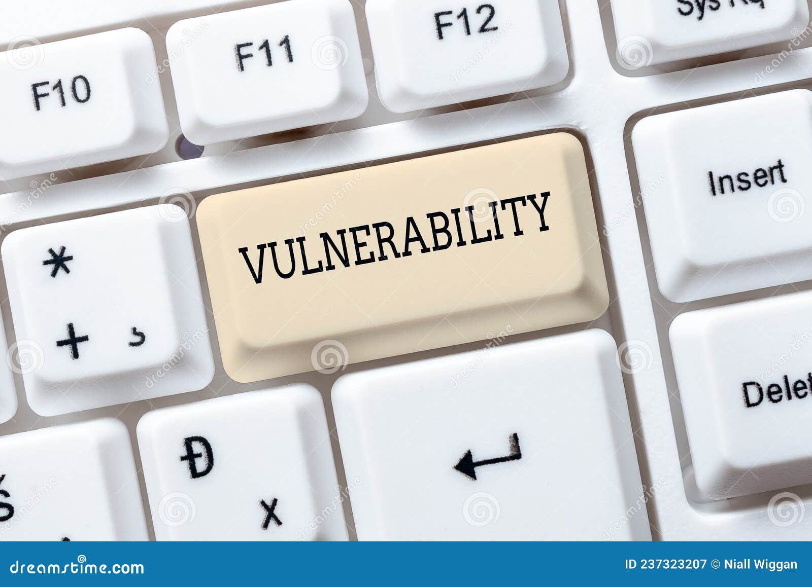 Conceptual Caption Vulnerability. Business Idea State of Being Exposed ...