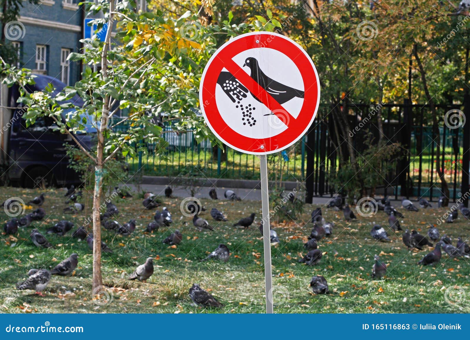 A Sign `Do Not Feed the Pigeons` on the Background of a Flock of Birds ...
