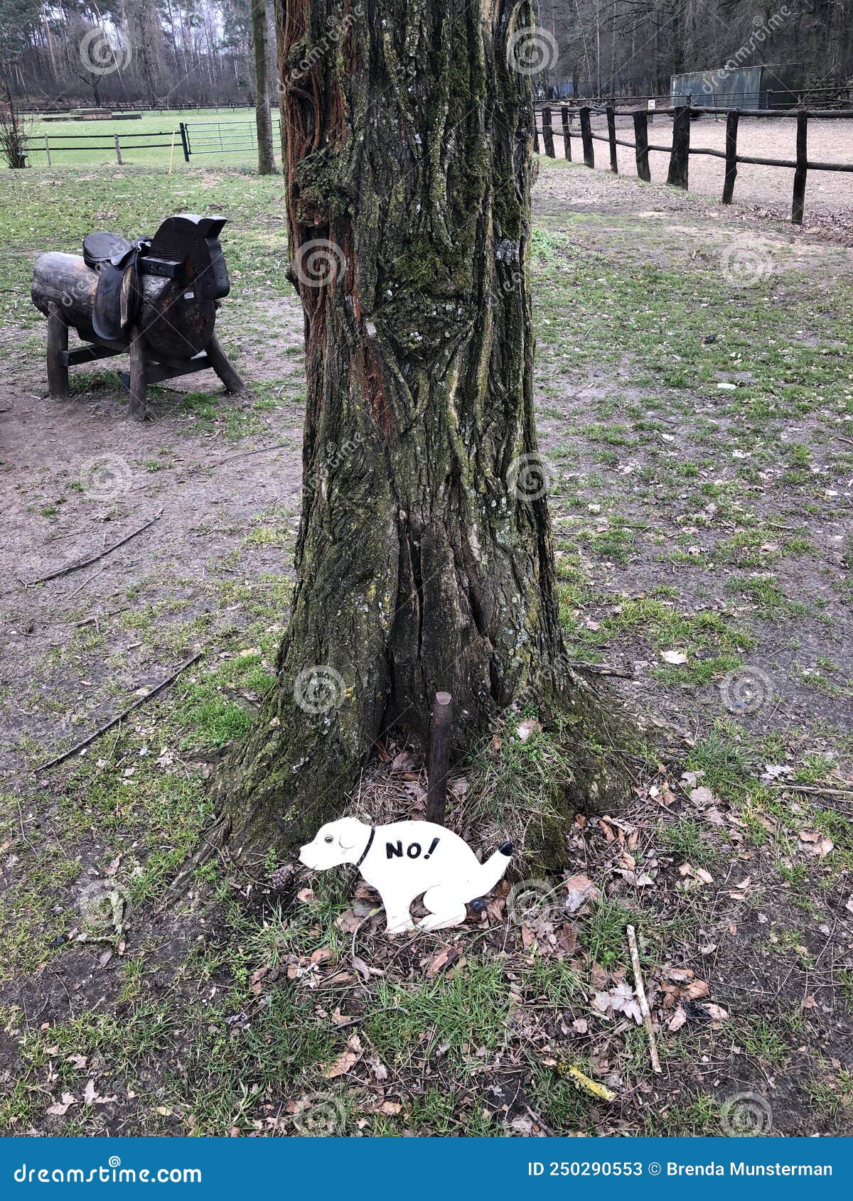 Don T or Poop Here Dog Sign Stock Image - Image of sitting, poop: 250290553 Don T or Poop Here Dog Sign Stock Image - Image of sitting, poop: 250290553