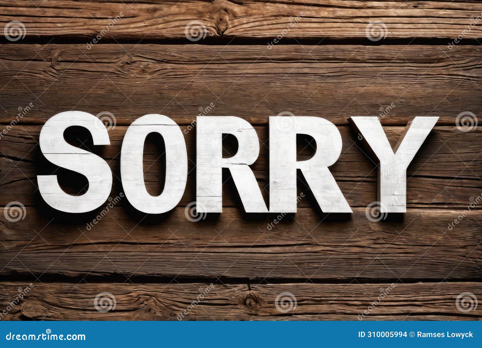 A Sign Enveloped in Soft, Diffuse Light, "Sorry" Inscribed in an ...