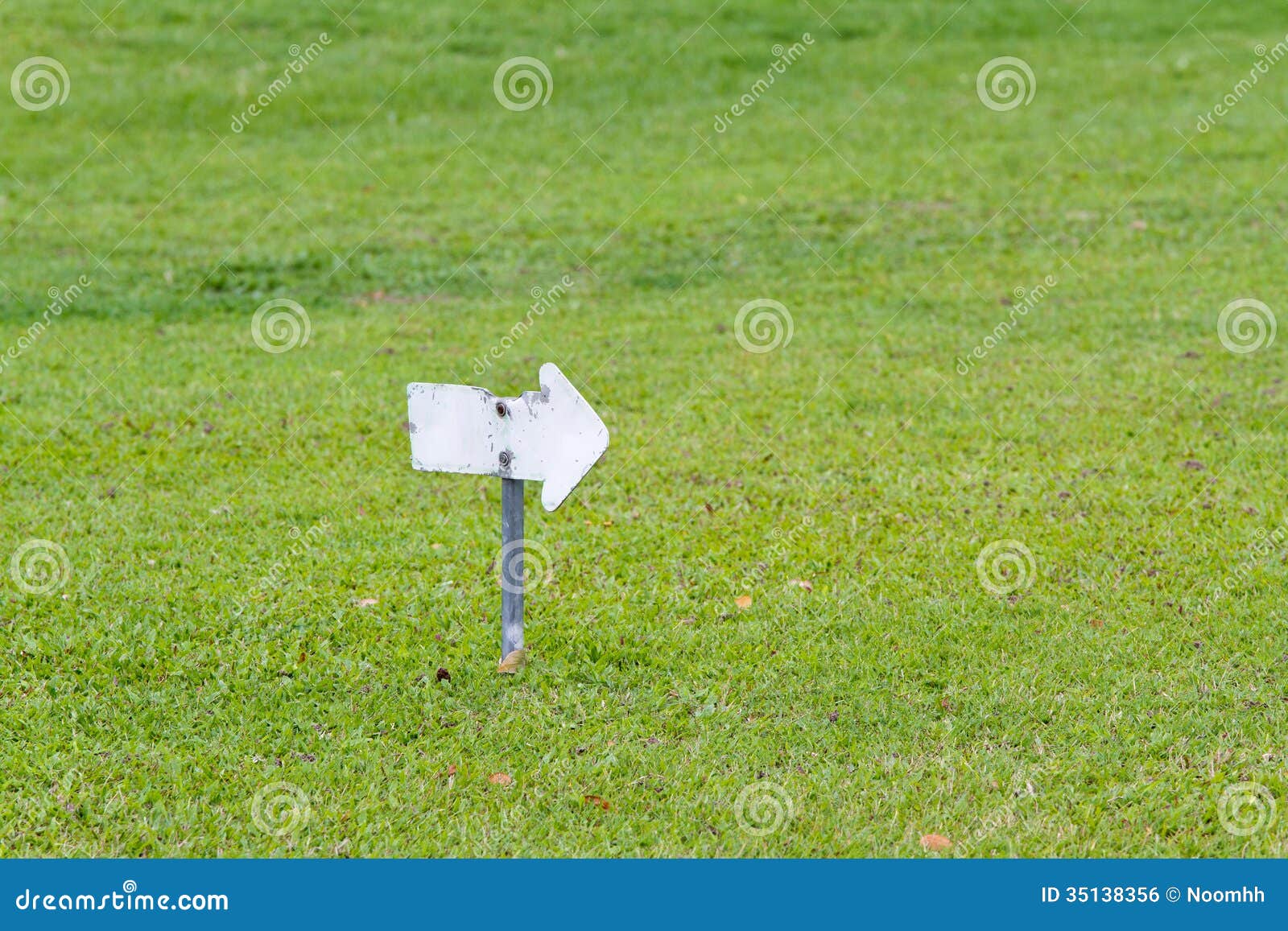 Sign on field grass stock photo. Image of outdoor, bird - 35138356