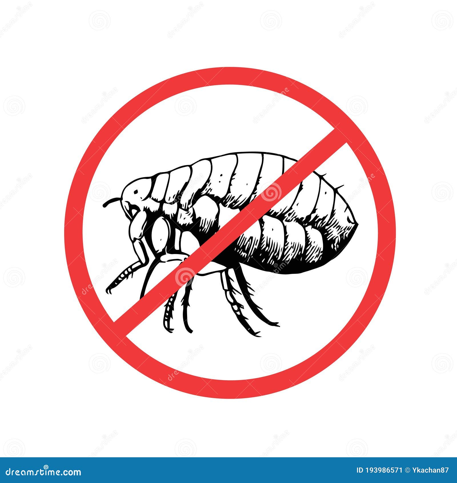 Flea. Vector Illustration. The Bloodsucker On An Isolated Green ...