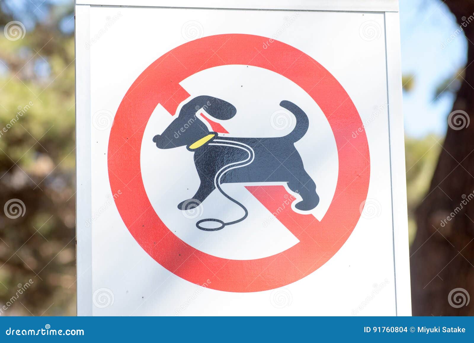 Sign of Forbidding To Release the Dog Leash Stock Photo - Image of ...