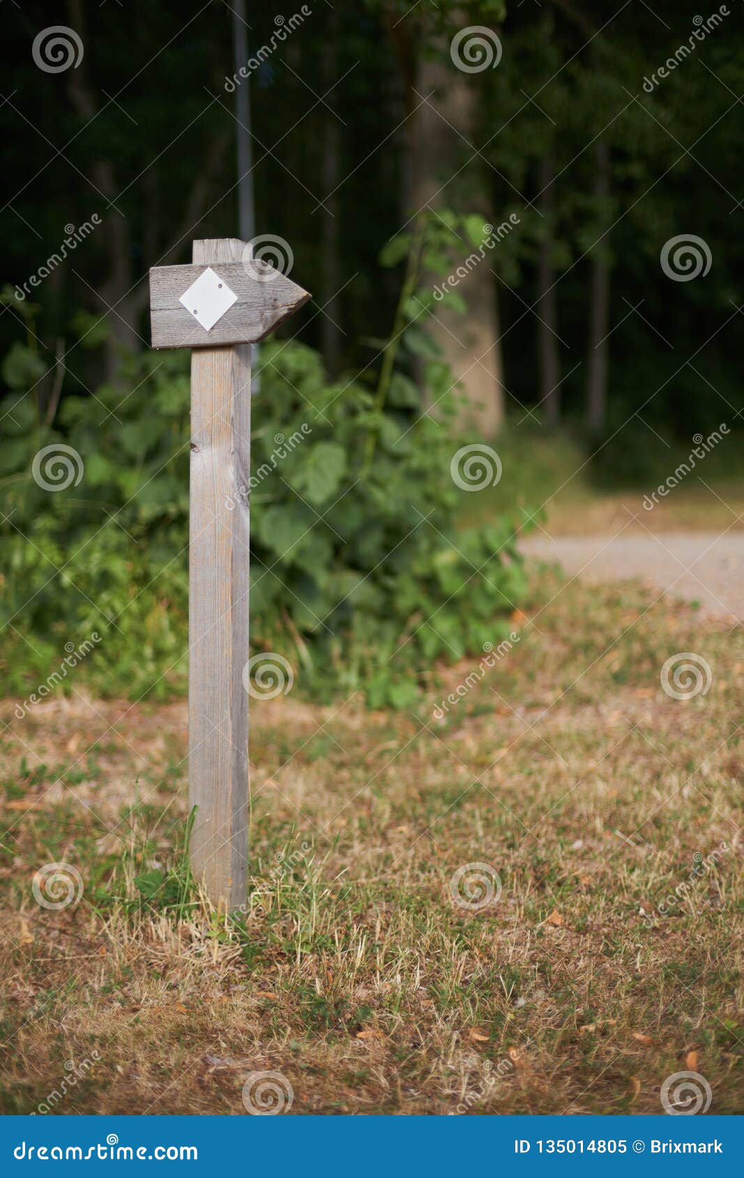 Sign in the forest stock image. Image of wild, sign - 135014805