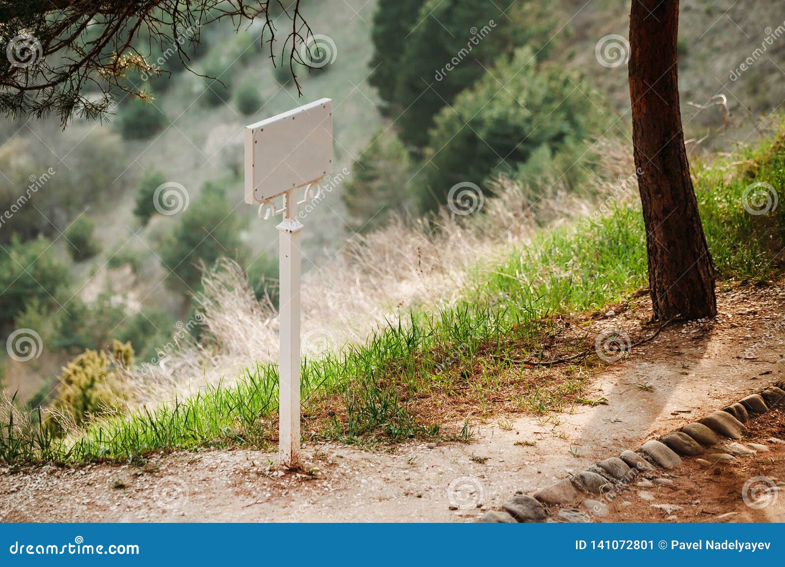 Sign in forest stock image. Image of park, landscape - 141072801