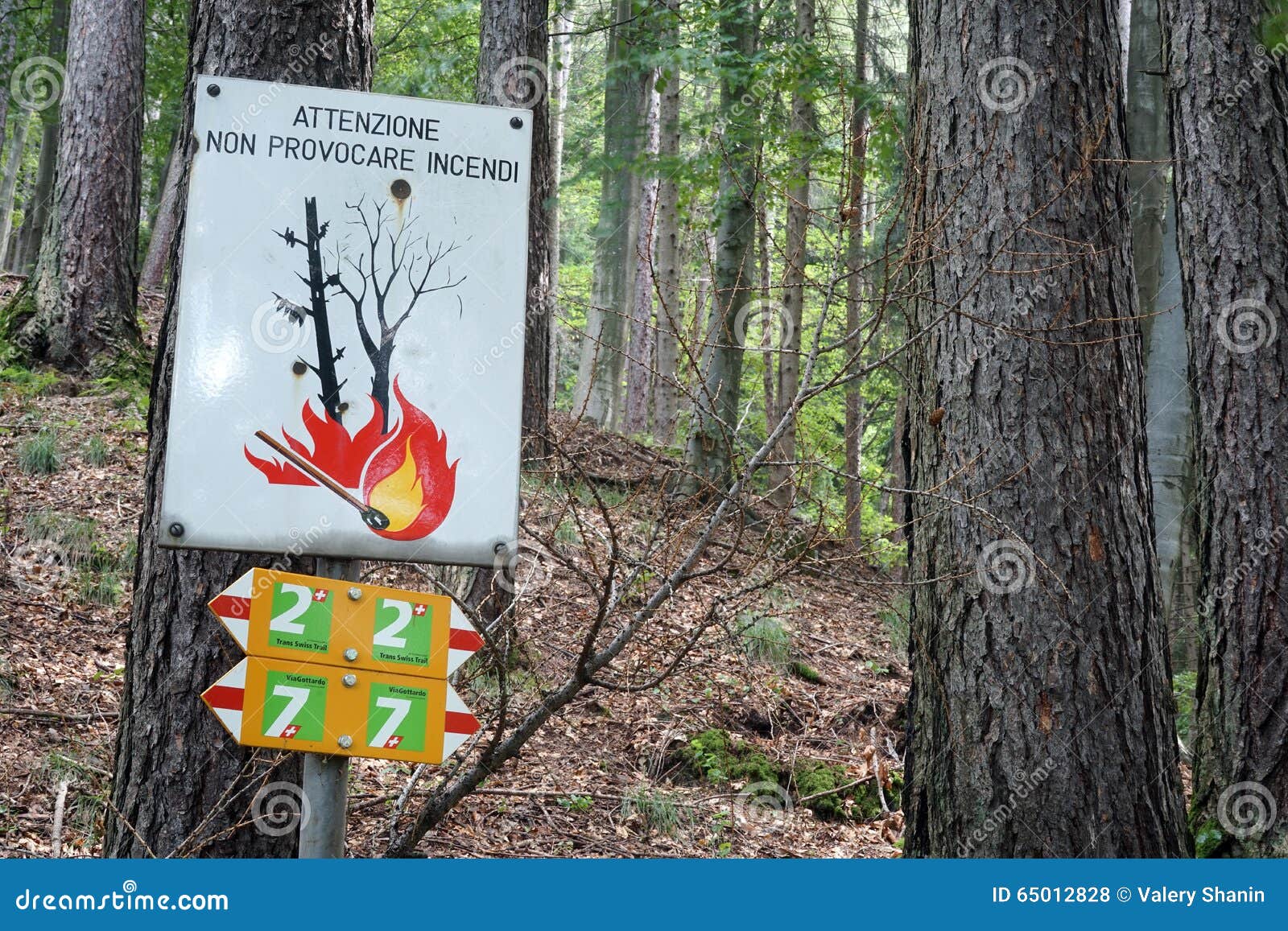 Sign in forest stock photo. Image of european, mountain - 65012828
