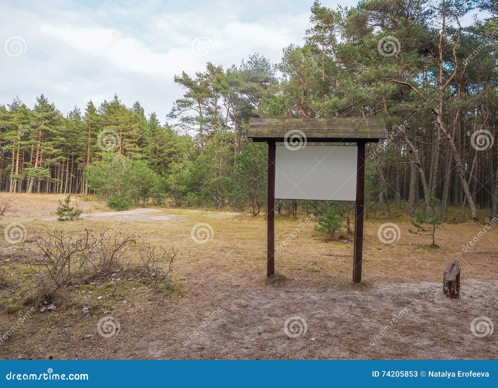 Sign in the Forest for Your Information Stock Image - Image of ...