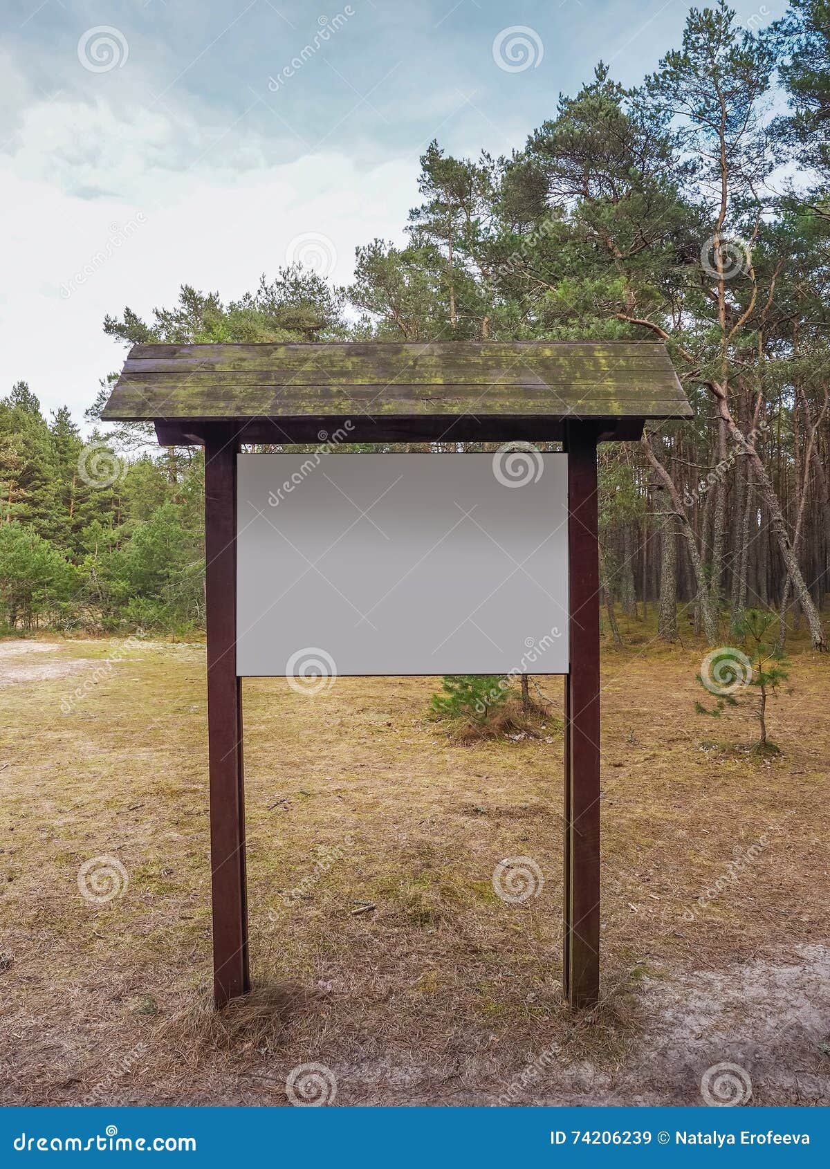 Sign in the Forest for Your Information Stock Image - Image of ...