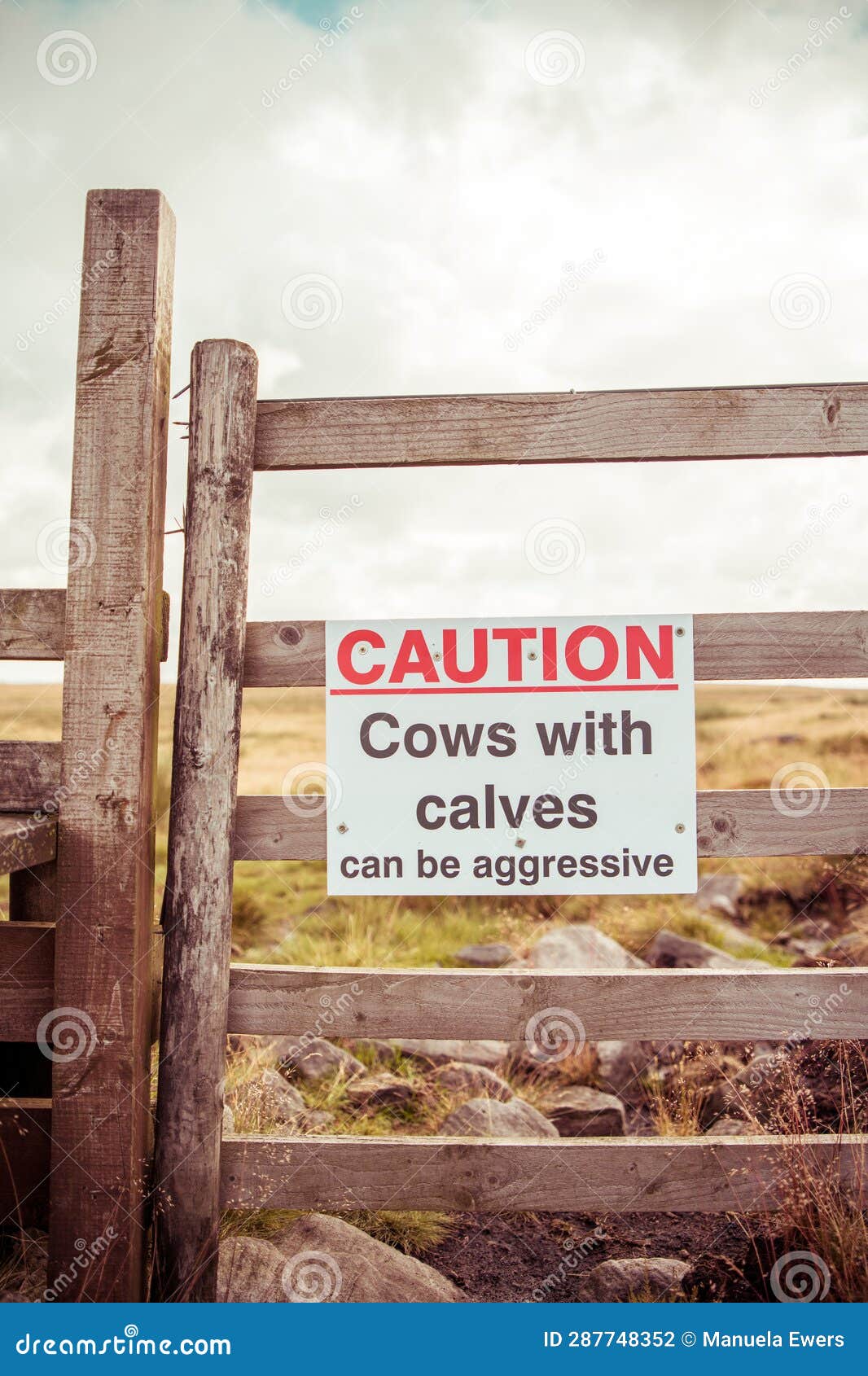 A Sign on the Gate Reads "Caution: Cows with Calves Can Be Aggressive ...