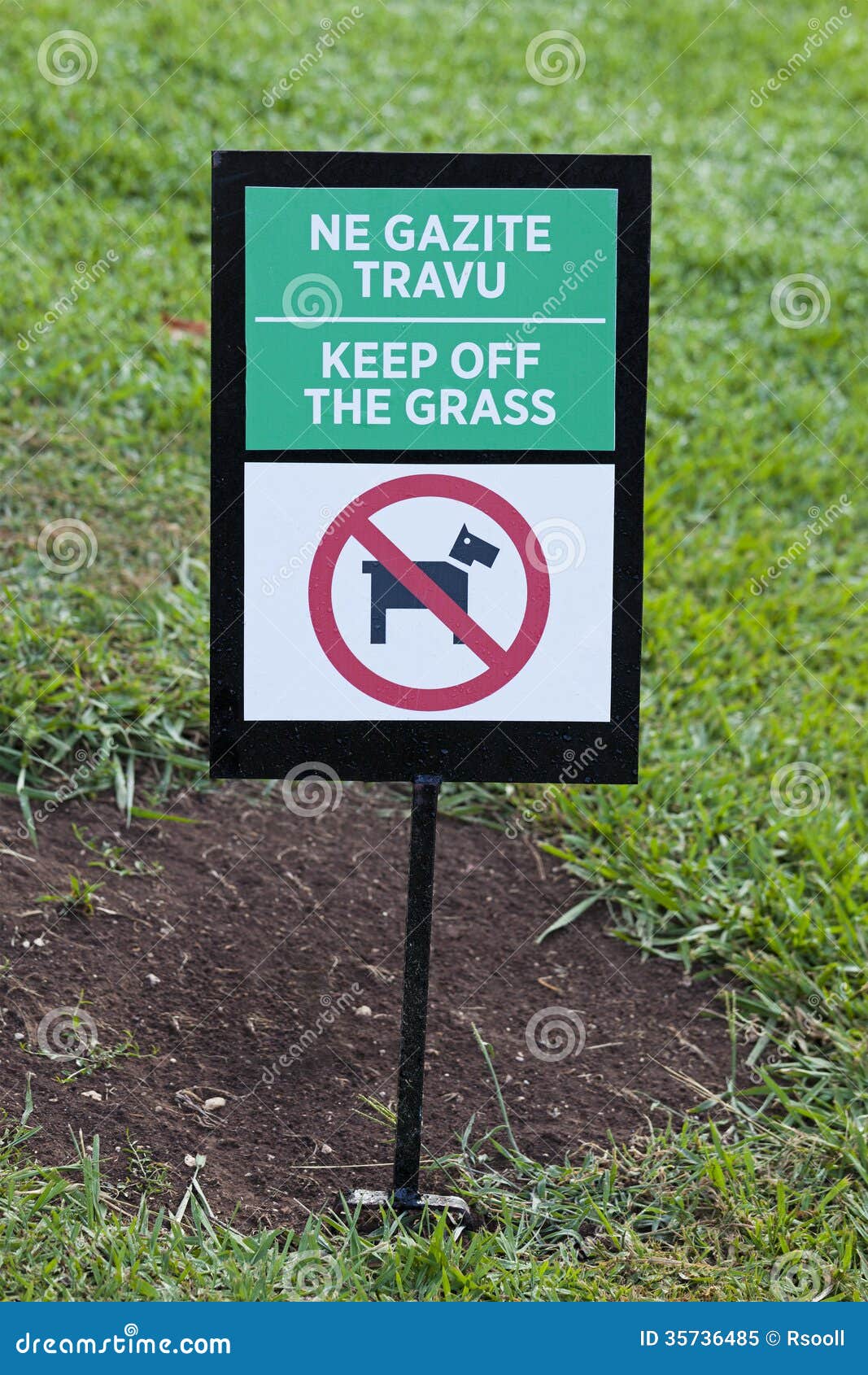 Sign on a grass stock image. Image of empty, front, green - 35736485