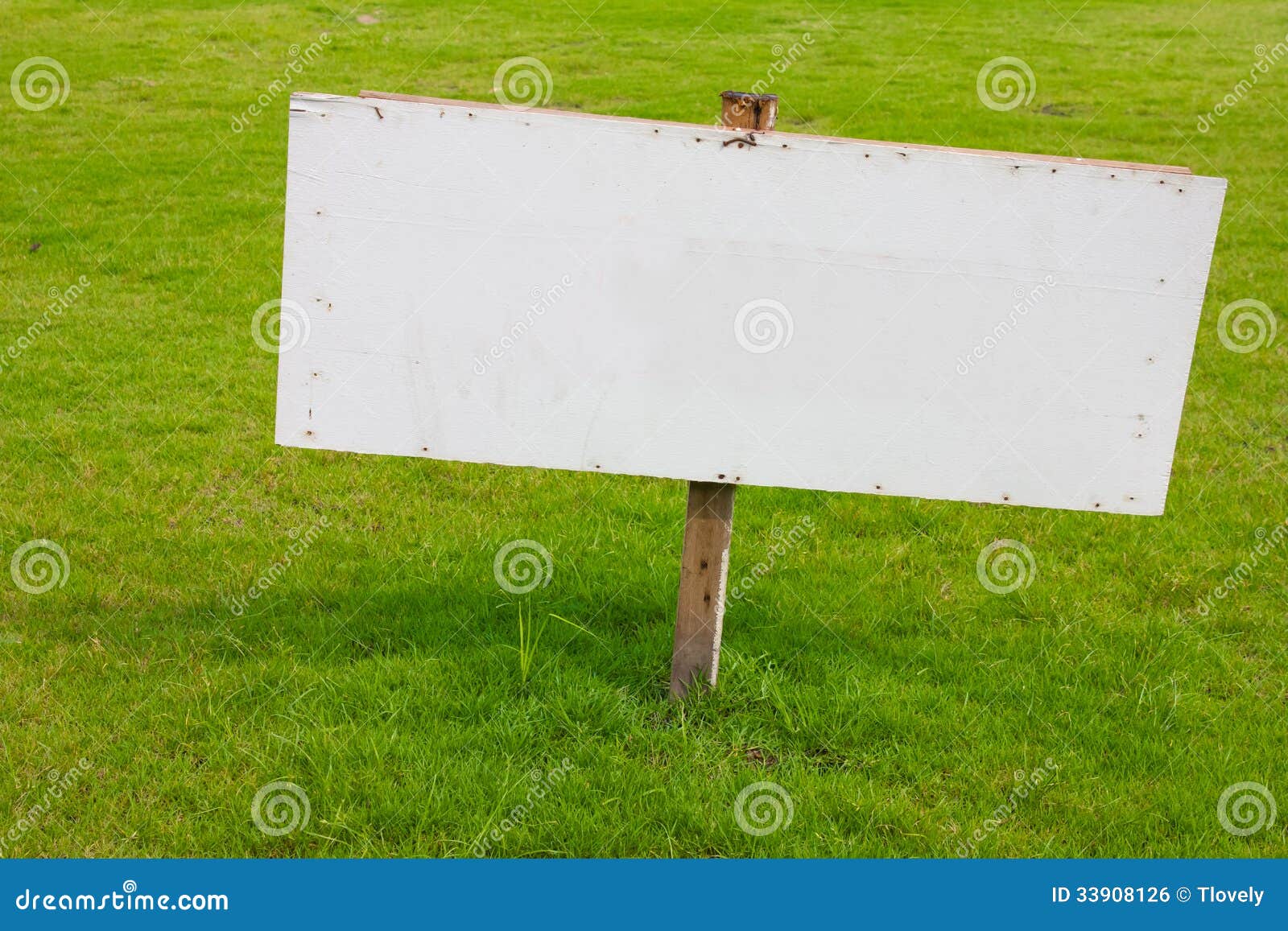 Sign in green grass stock photo. Image of design, business - 33908126