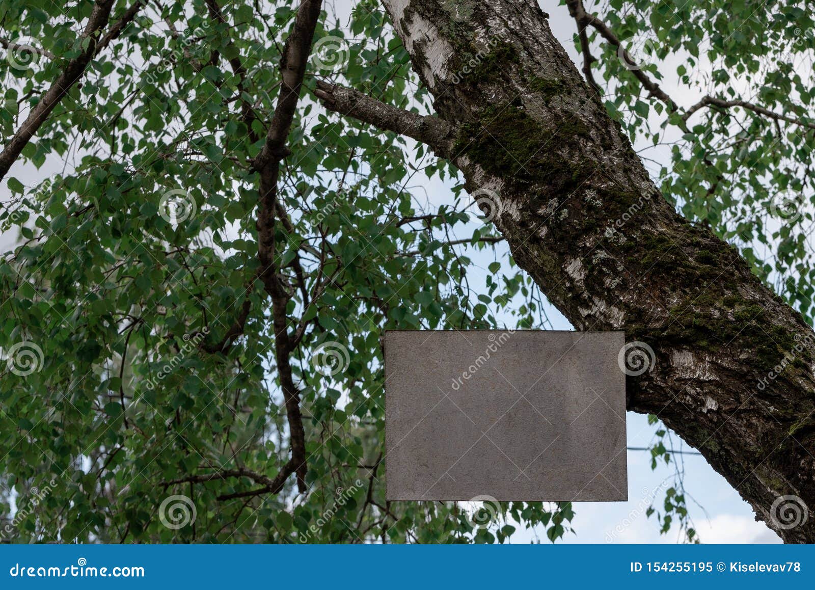 The Sign Hanging on the Tree. Space for Lettering or Design Stock Image ...
