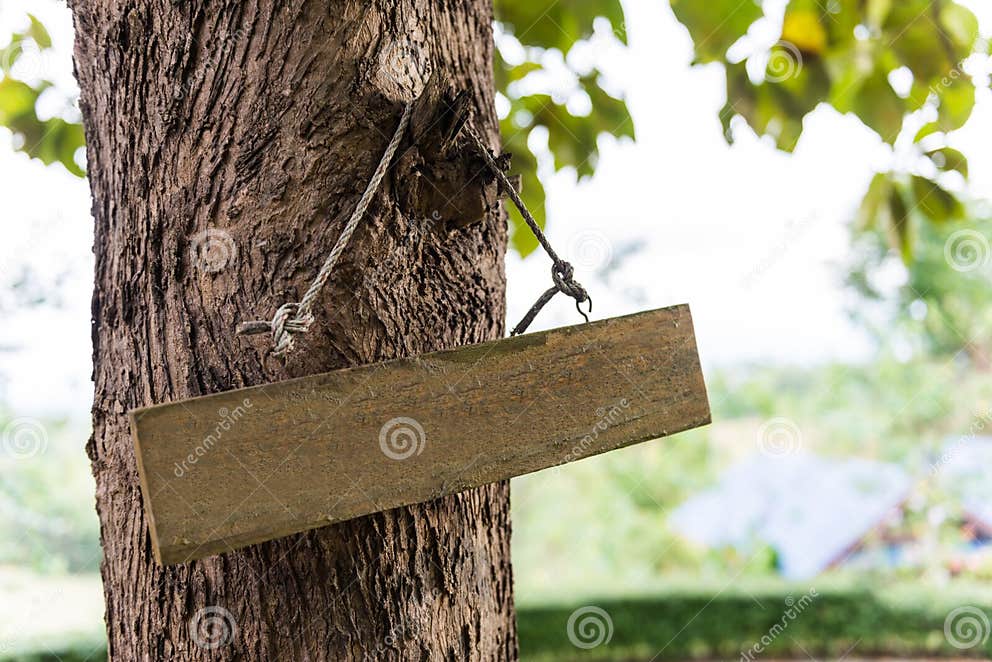 Sign hung on the tree stock photo. Image of symbol, wooden - 35373732