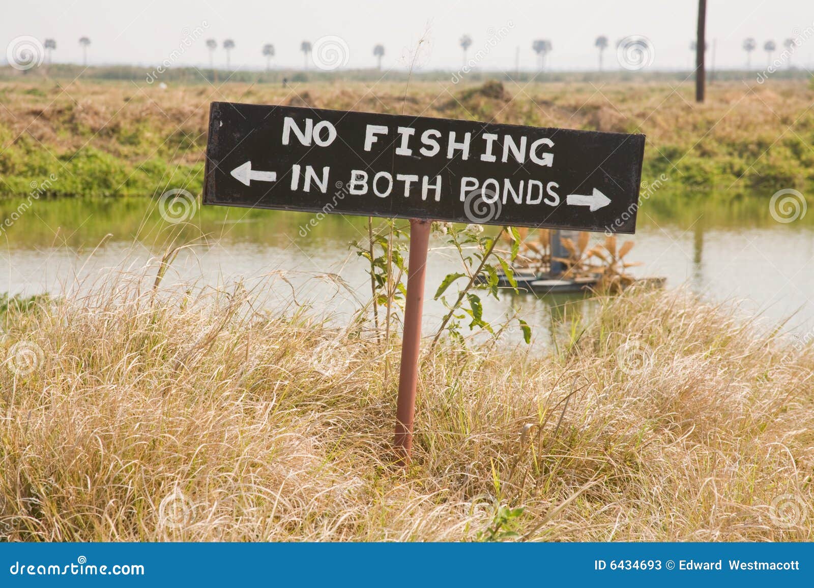 Sign at Kafuie Fisheries. stock image. Image of aquaculture - 6434693