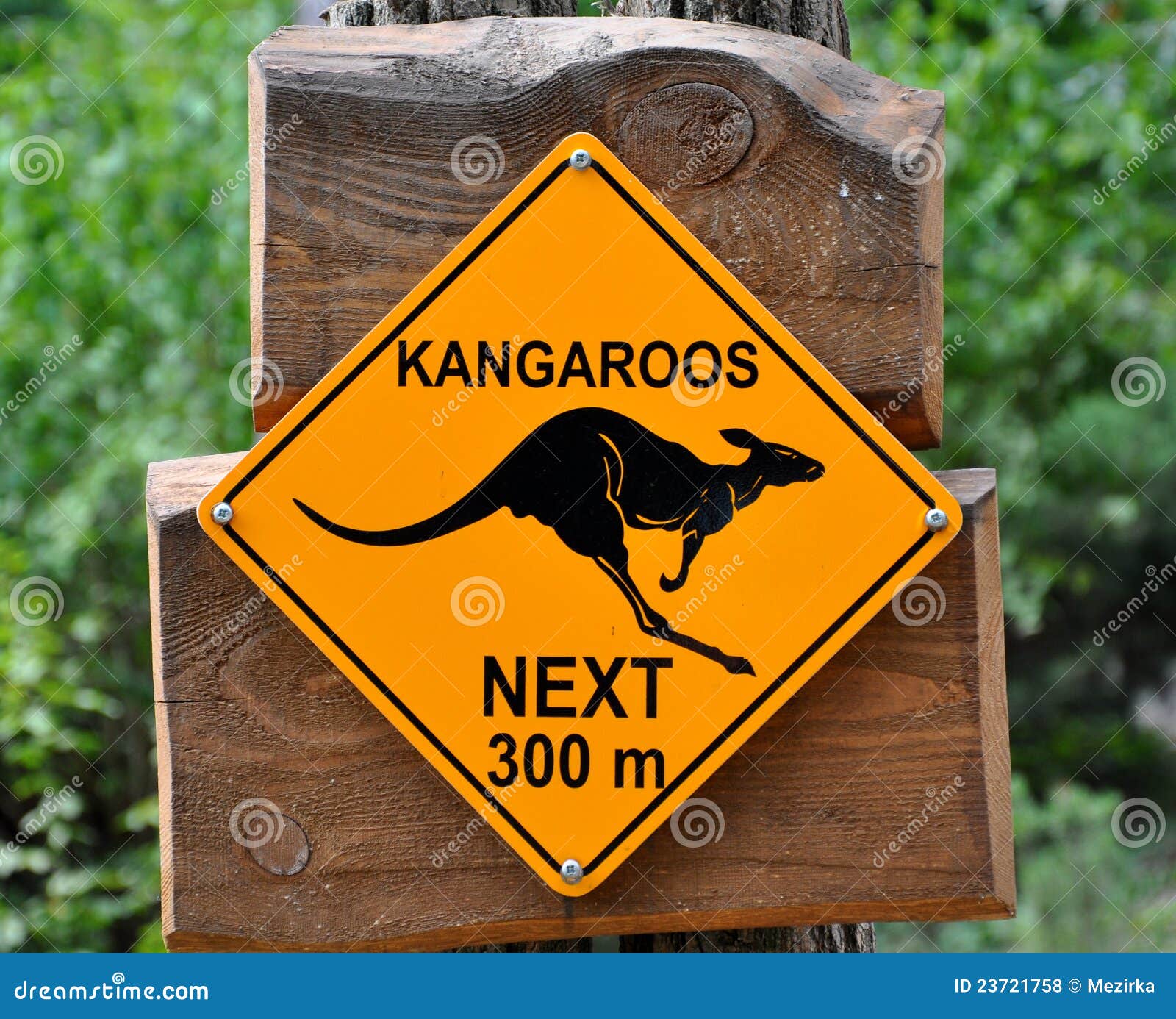 Sign of kangaroos stock photo. Image of leaf, kangaroo - 23721758