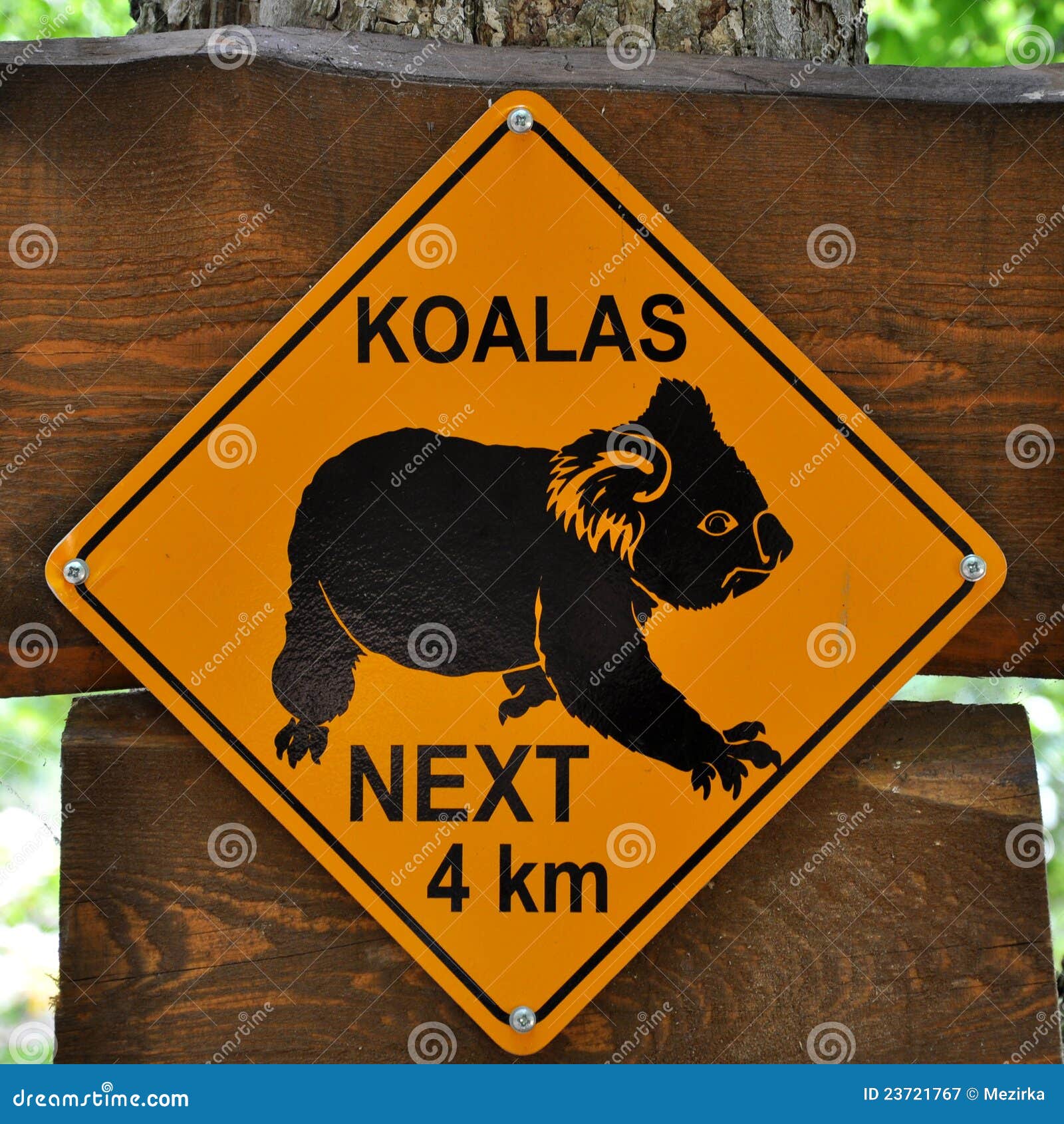 Sign of koalas stock image. Image of blue, speed, rural - 23721767