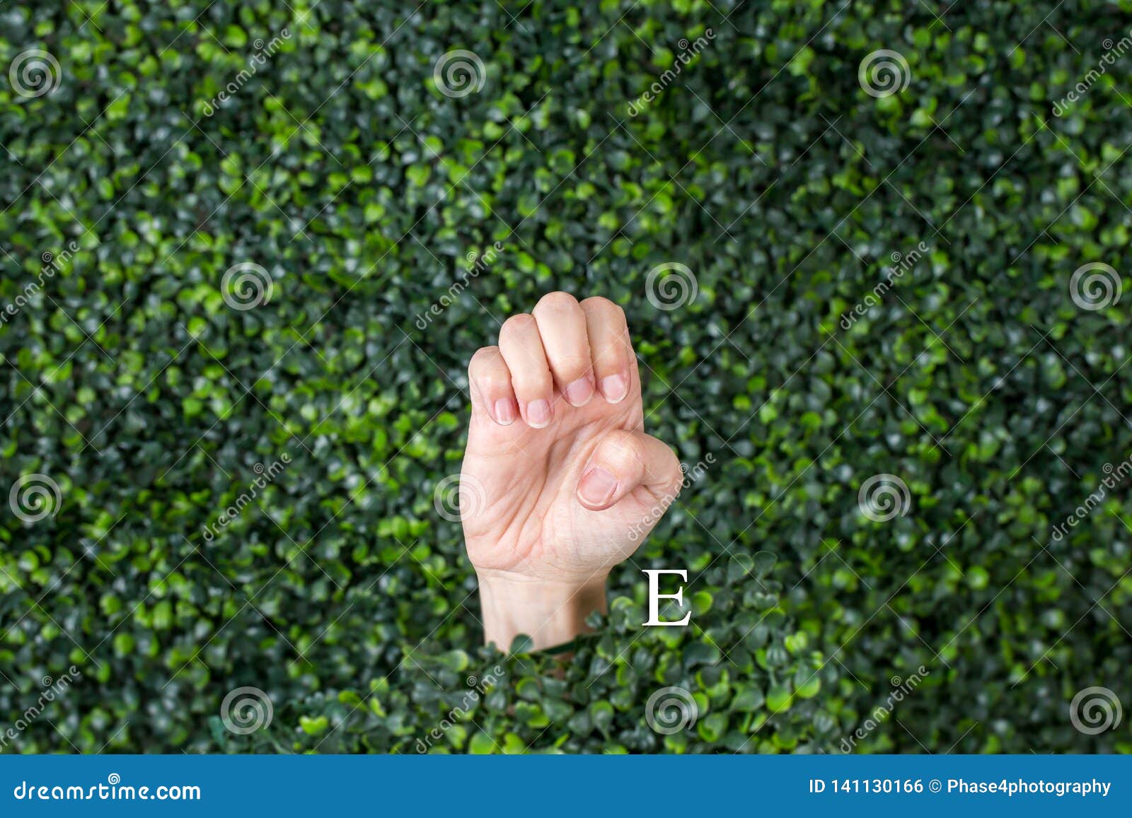 Sign Language Letter E stock photo. Image of green, hearing - 141130166