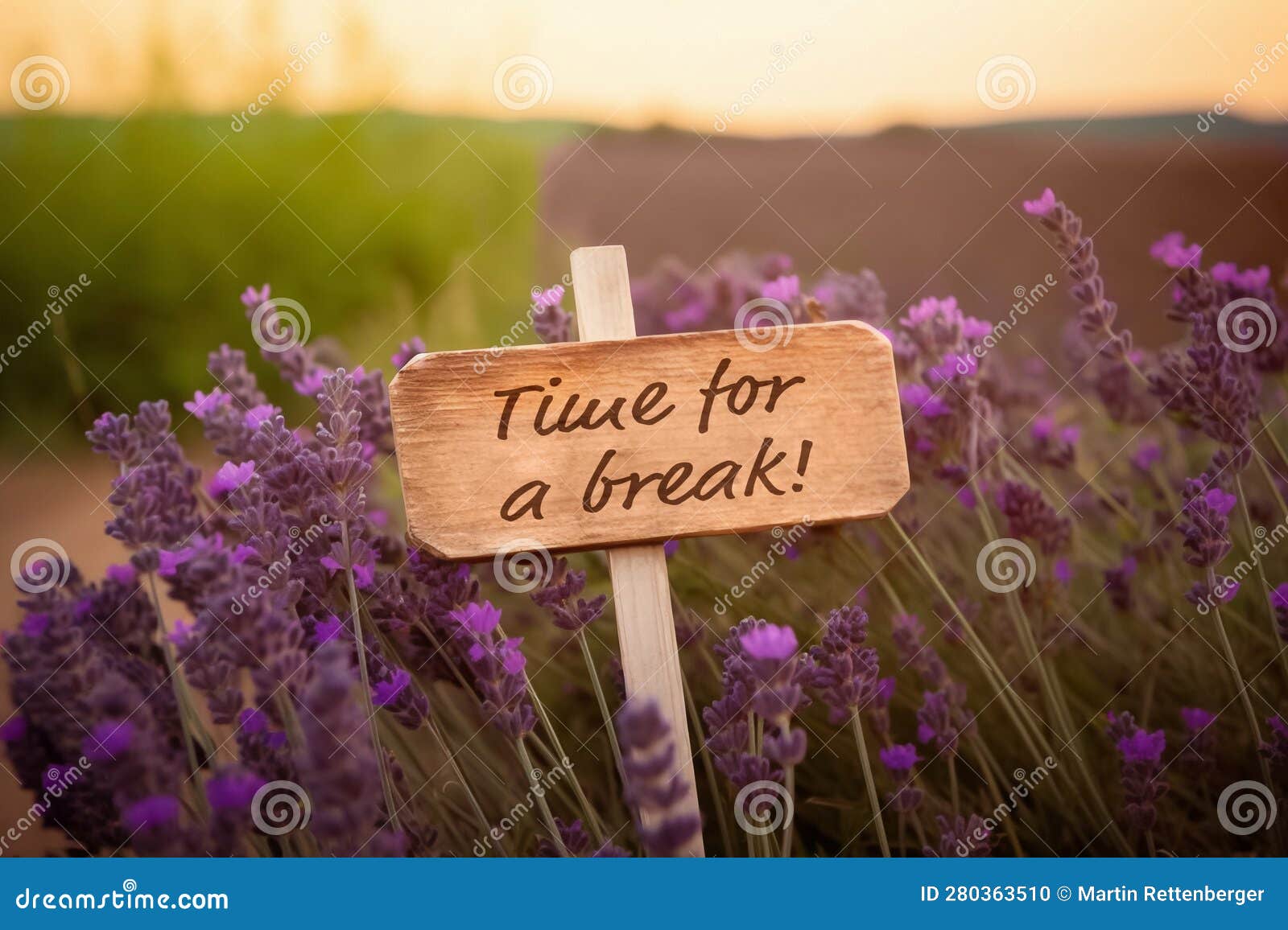 Sign in a Lavender Field with Text: - Done with Generative AI Stock ...