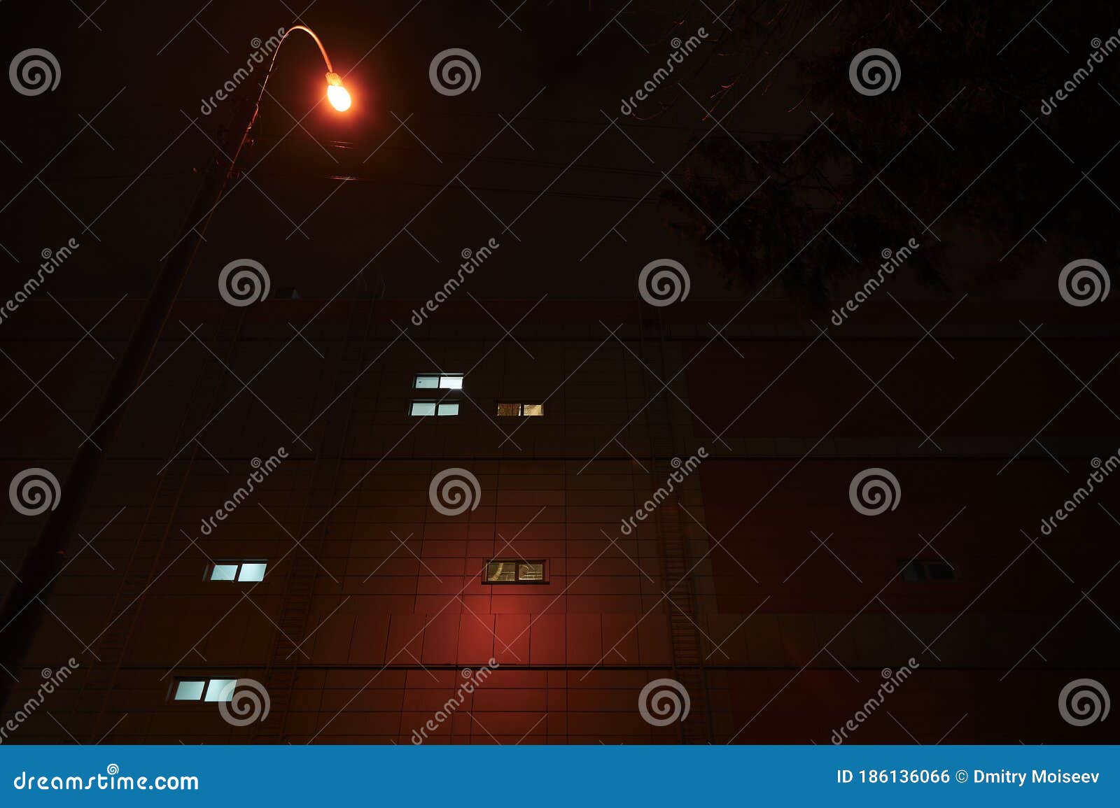 A sign lit up at night stock photo. Image of pole, sunset - 186136066