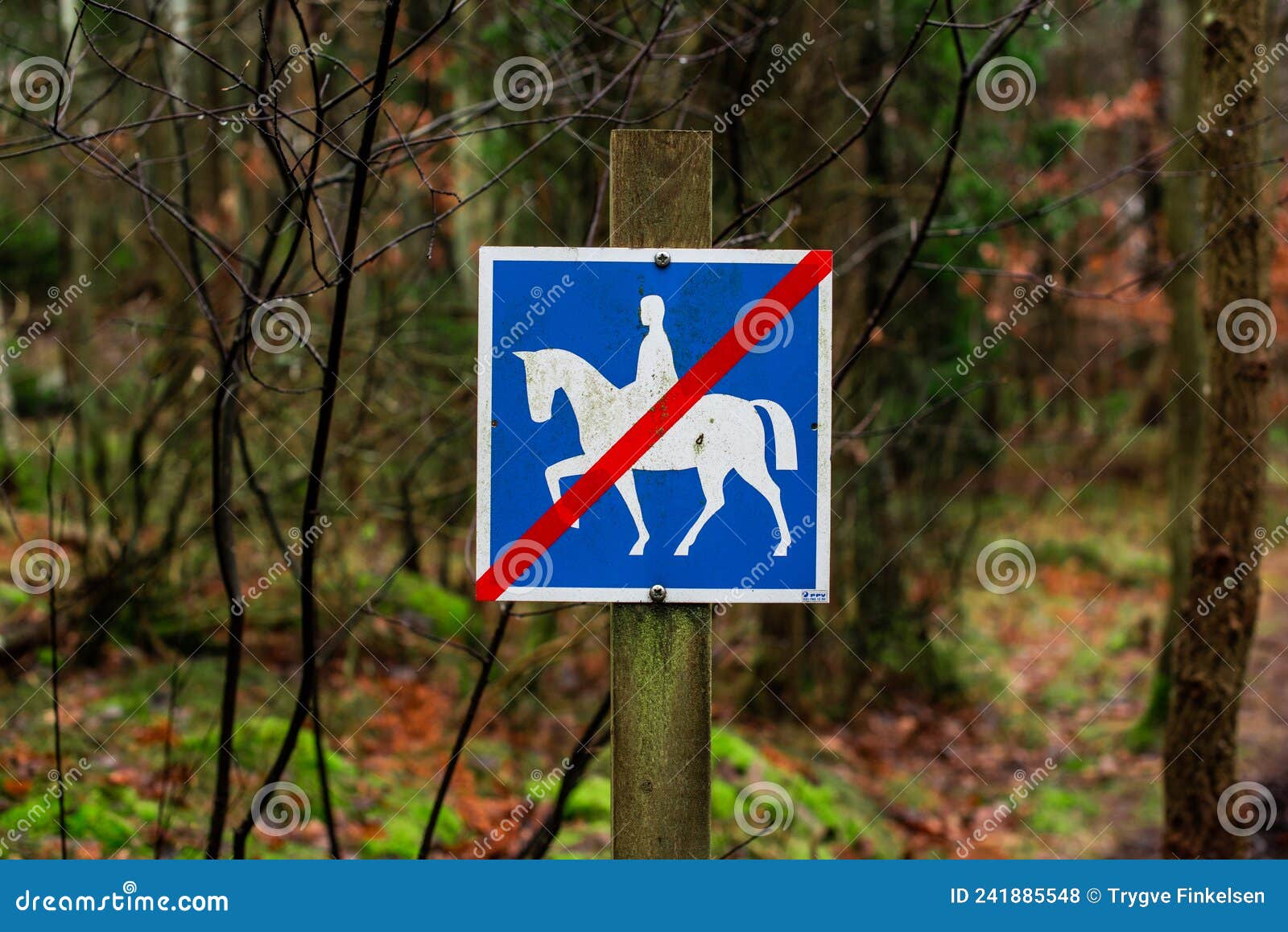 Sign Marking Horseback Riding Prohibited.. Stock Photo - Image of ...
