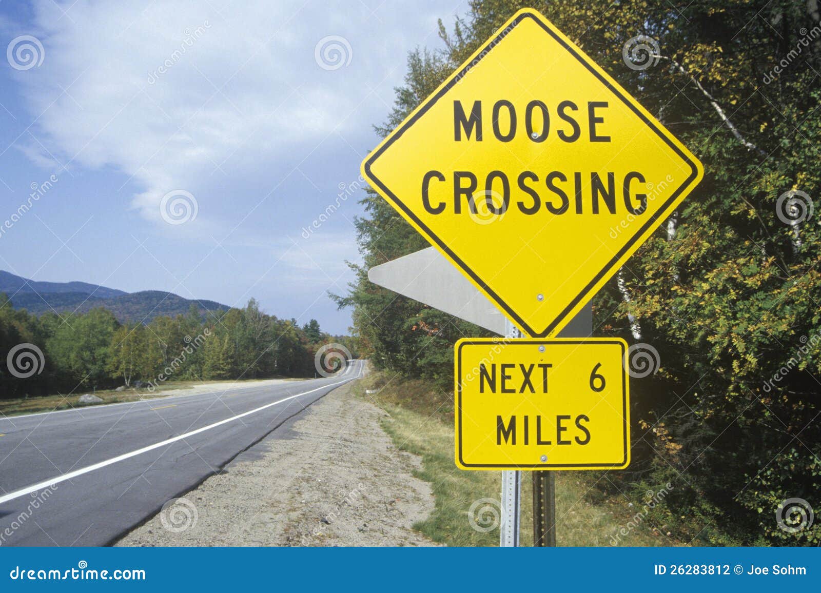 A sign for moose crossing stock photo. Image of united - 26283812