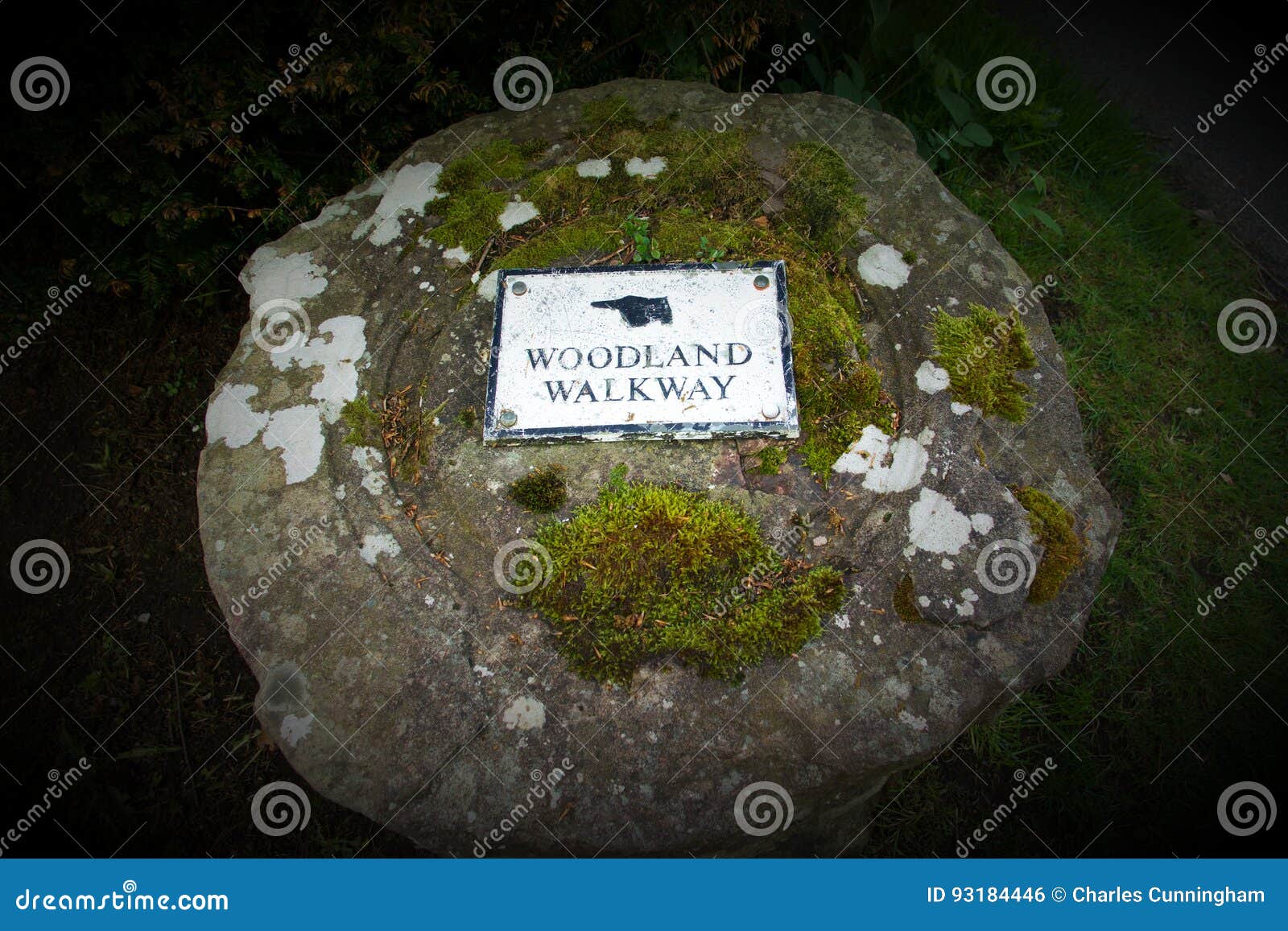 Sign on a Moss Covered Stone. Stock Photo - Image of pointing, woodland ...