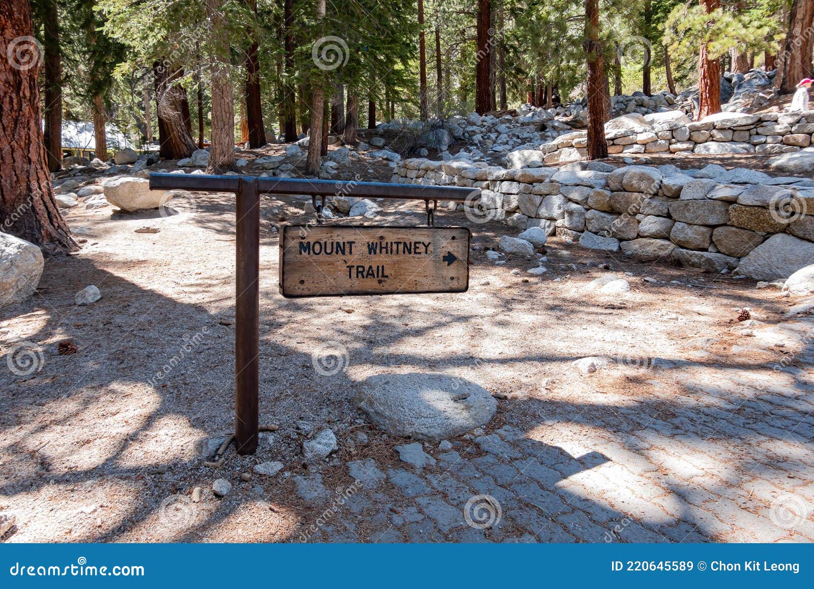 Sign of the Mount Whitney Trail Stock Image - Image of pine, sign ...