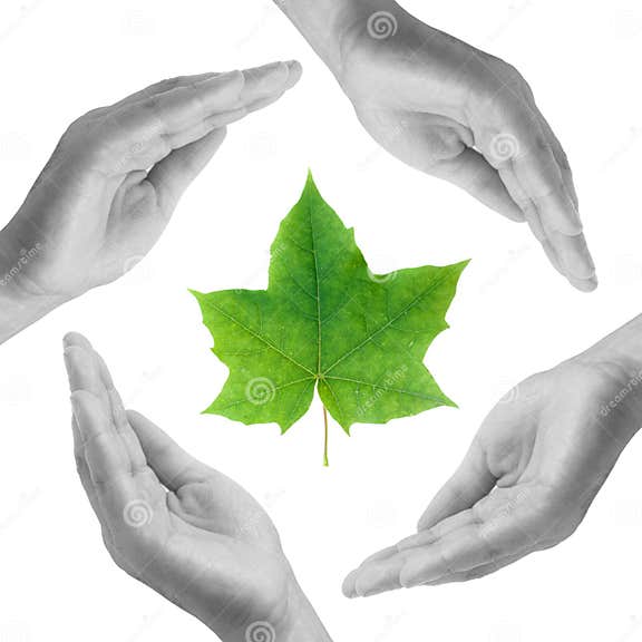 Sign of nature saving stock photo. Image of nature, save - 11907320