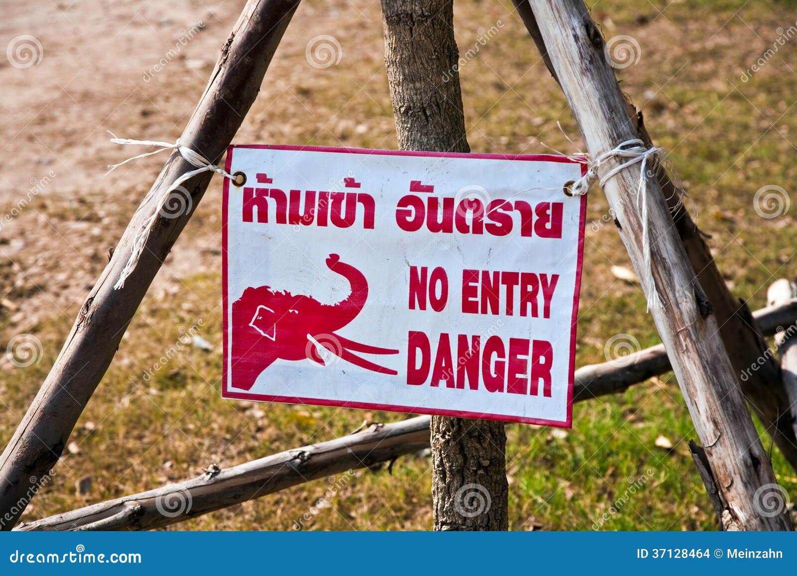 Sign No Entry because of Elephant Stock Photo - Image of bangkok ...