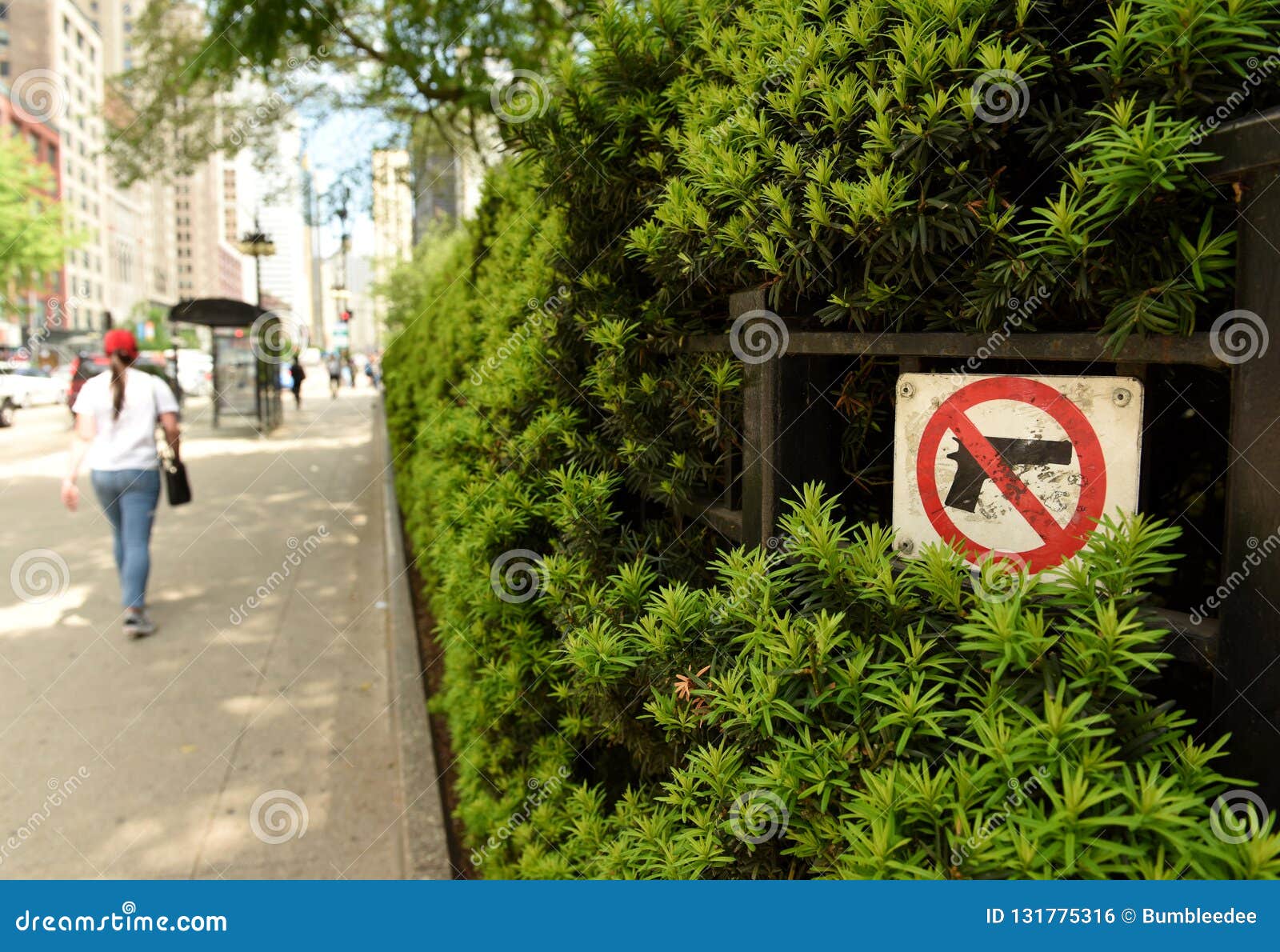 The Sign `No Gun` in Chicago, IL Stock Photo - Image of background ...