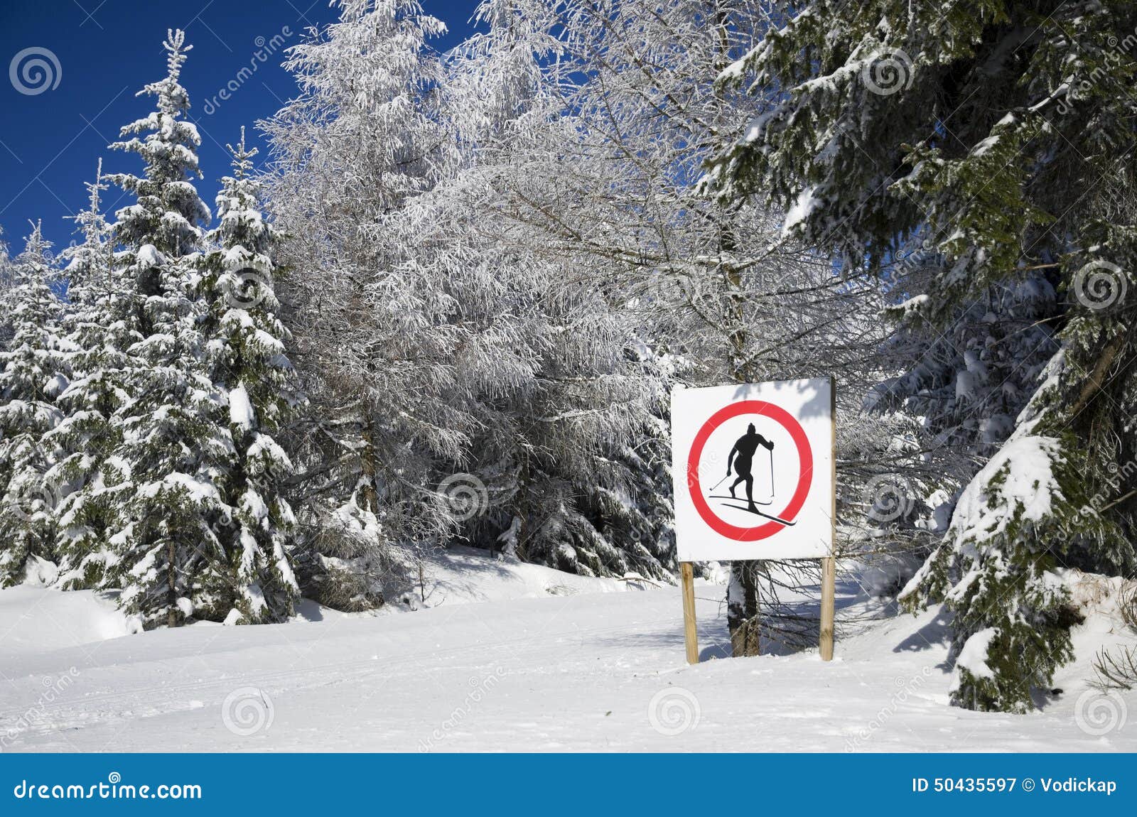 Sign: No skiing here! stock image. Image of nature, landscape - 50435597