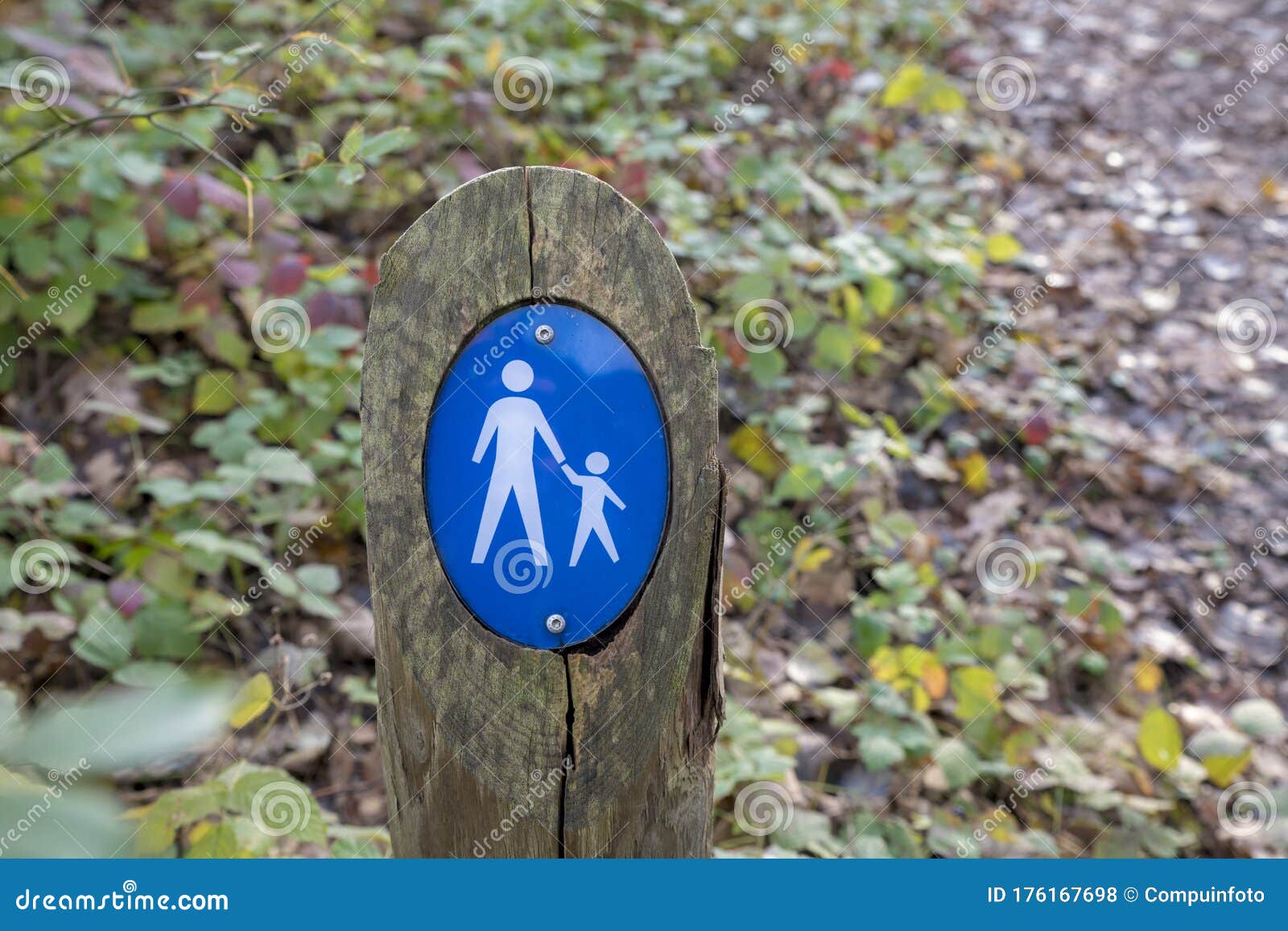 Parental Supervision In Swimming Pool Royalty-Free Stock Image ...