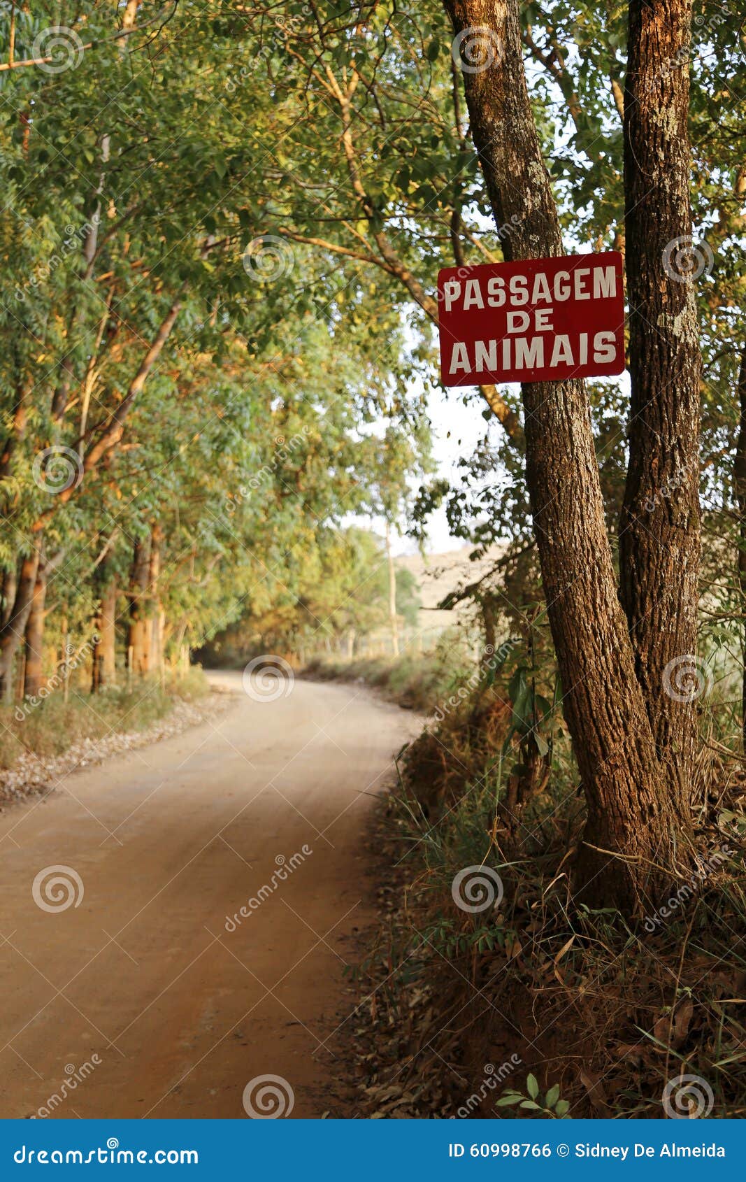 Sign passage of animals stock photo. Image of notice - 60998766
